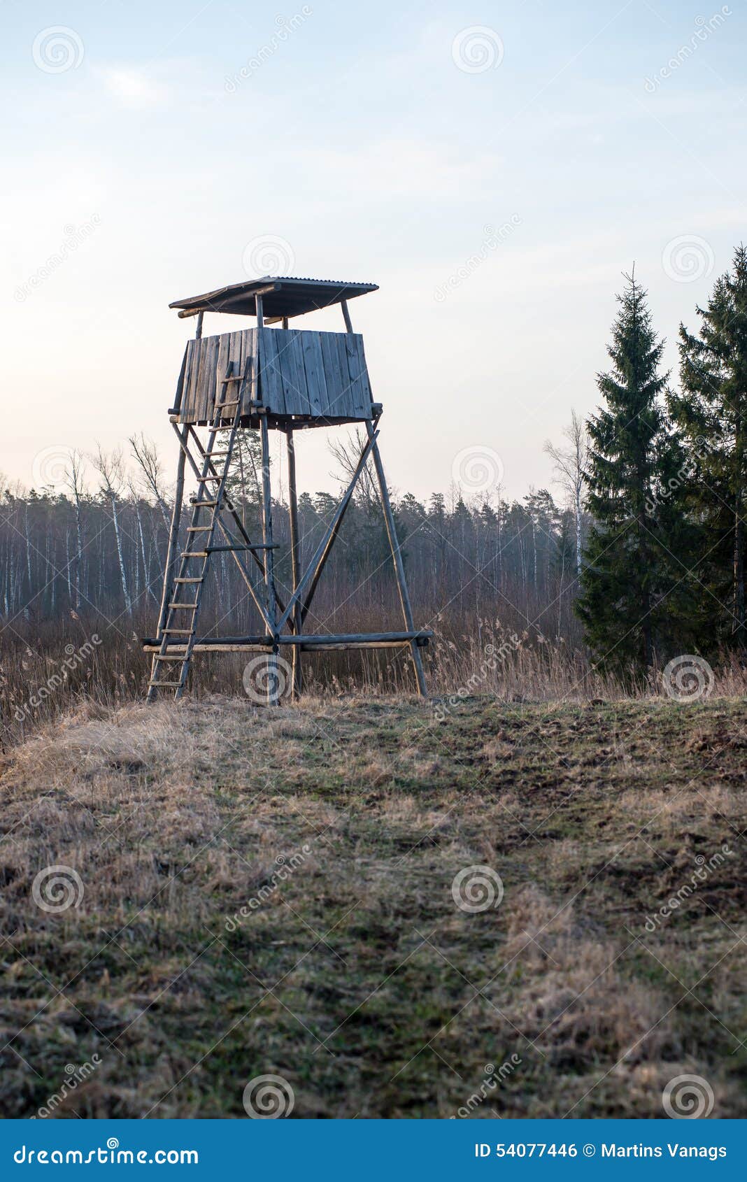 Beautiful Spring Landscape with Watchtower in Forest Stock Photo ...