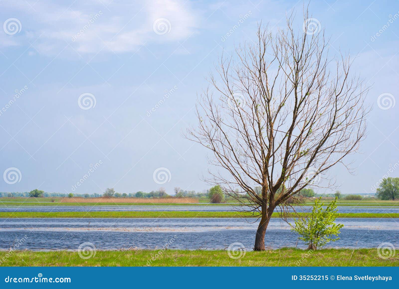 Beautiful spring landscape stock image. Image of cloud - 35252215