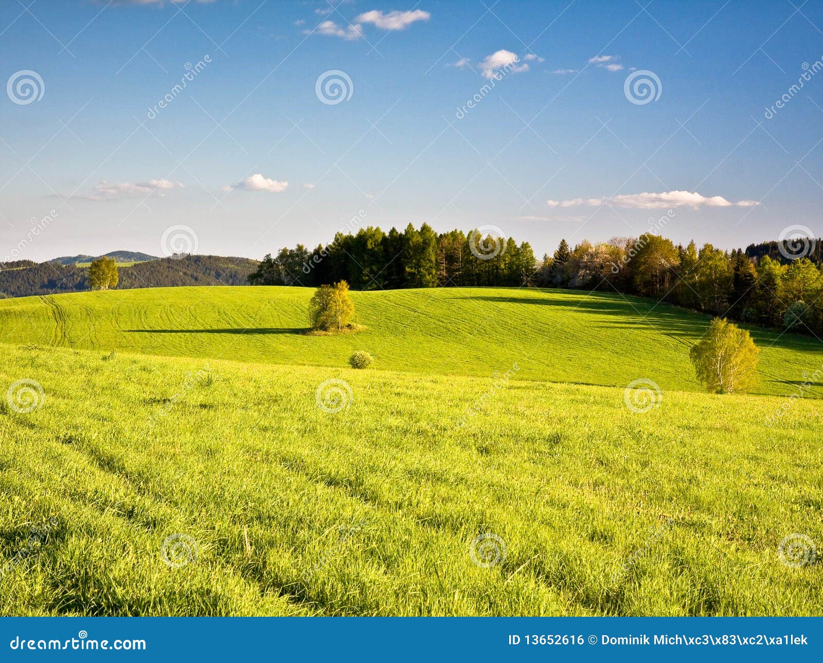 Beautiful spring meadow stock photo. Image of season - 13652616