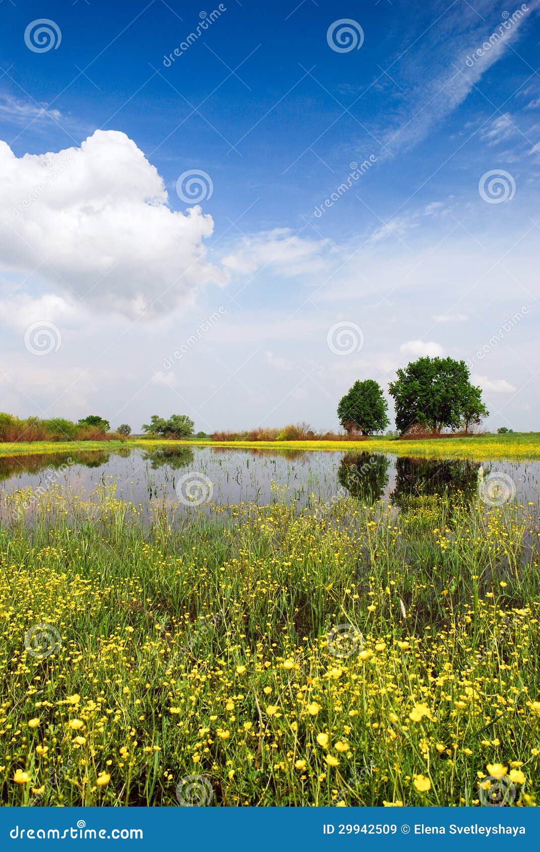 Beautiful spring meadow stock image. Image of landscape - 29942509
