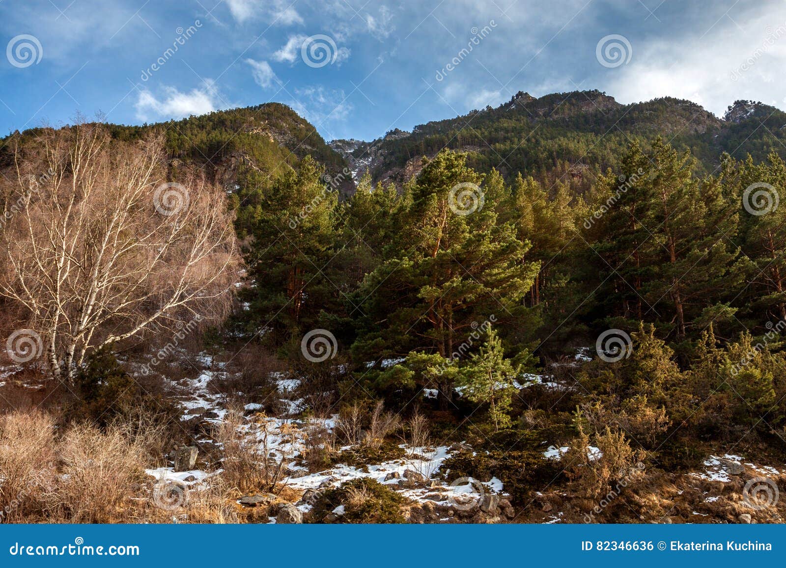Beautiful Spring Mountain Landscape Stock Photo - Image of scenery ...