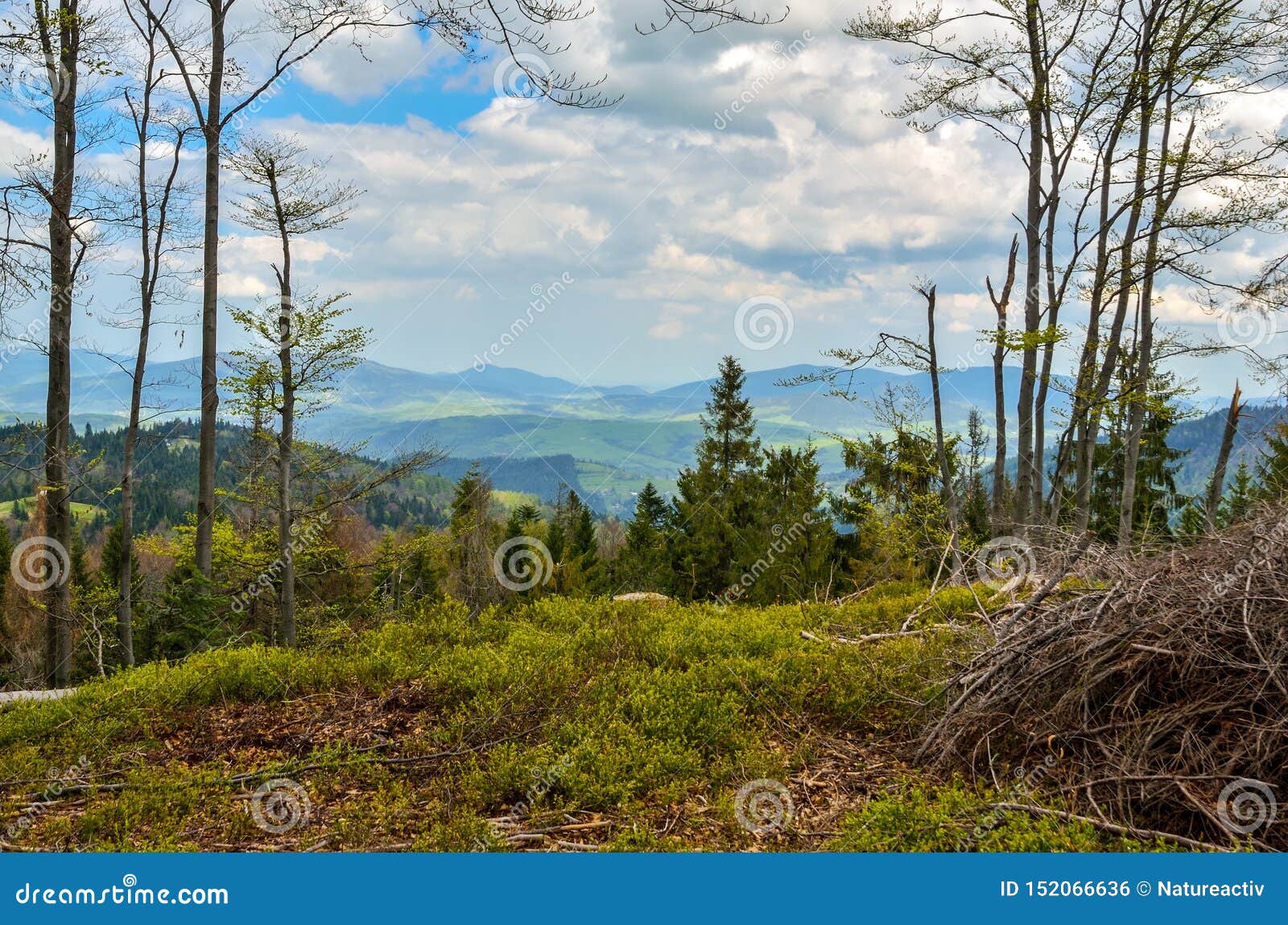 Beautiful Spring Mountain Landscape. Stock Photo - Image of hill, calm ...