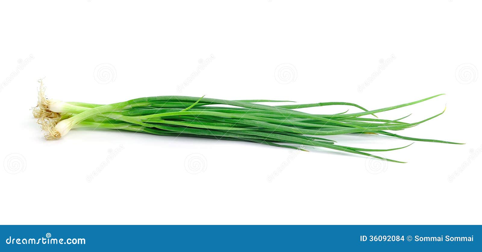 Beautiful Spring Onions on White Background. Stock Photo - Image of ...