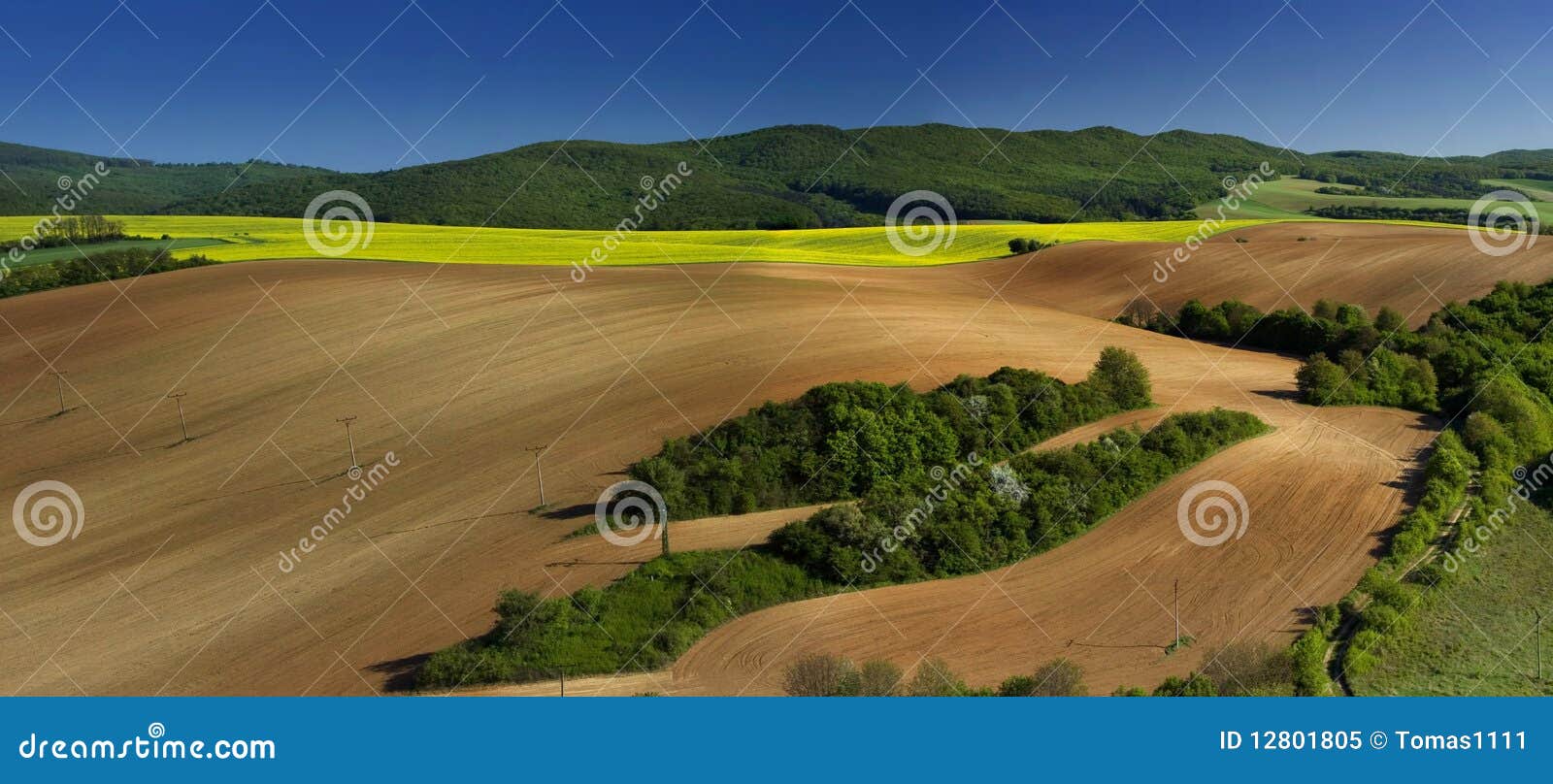 Beautiful Spring Panoramatic Shot with a Meadow Stock Image - Image of ...