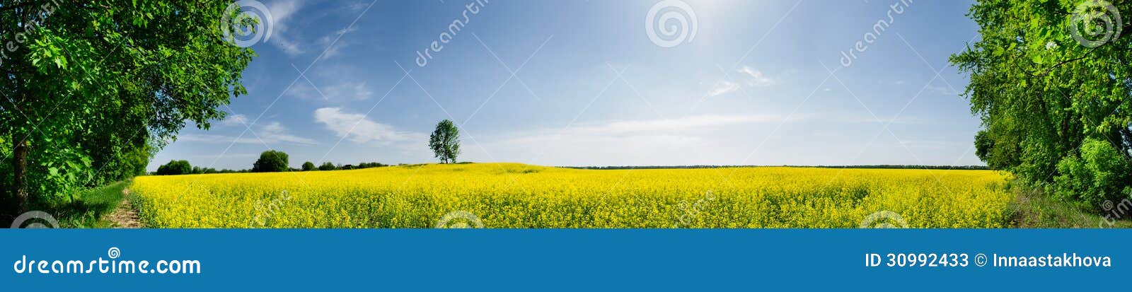 Beautiful spring panoramic stock image. Image of nature - 30992433