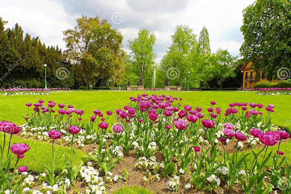 Beautiful spring park stock photo. Image of green, background - 26768326