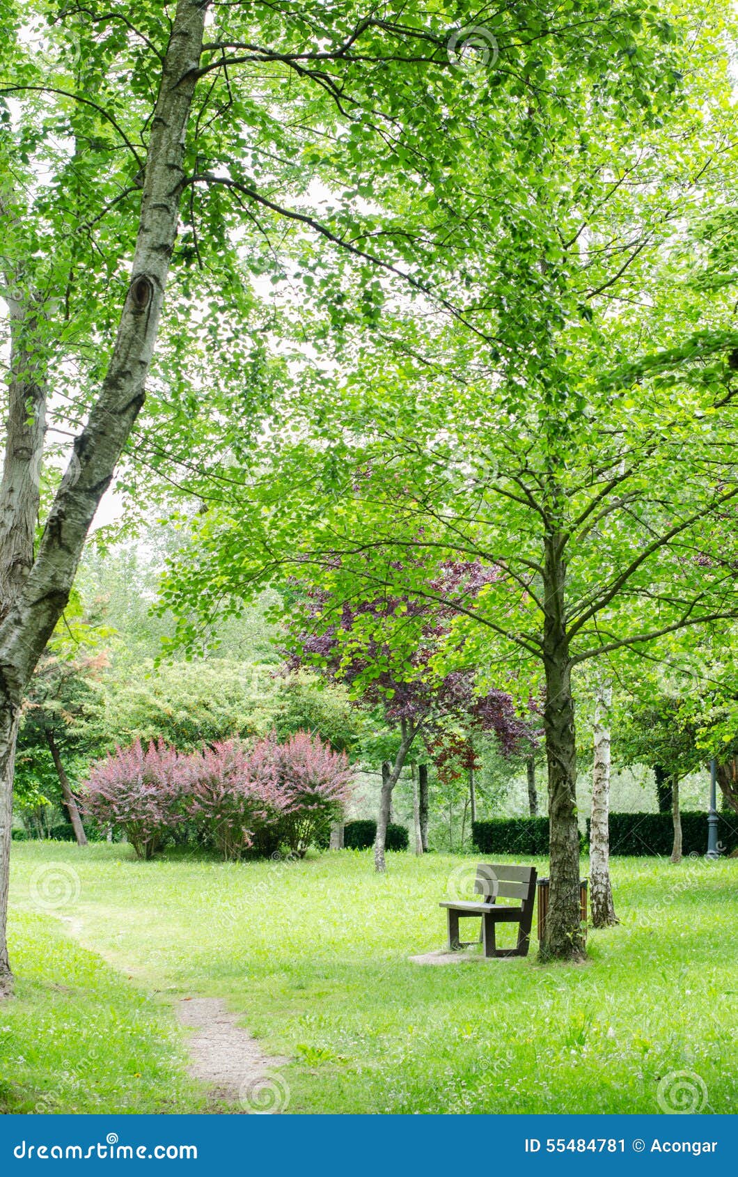 Beautiful spring park. stock image. Image of path, nature - 55484781