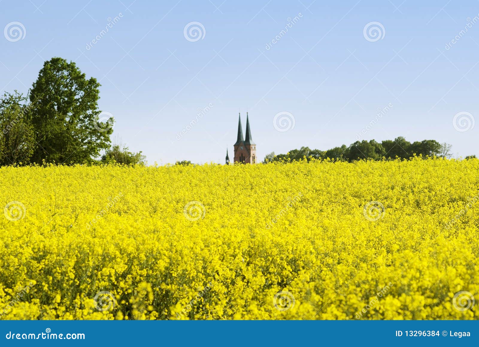 Beautiful spring meadow stock photo. Image of farmland - 13296384