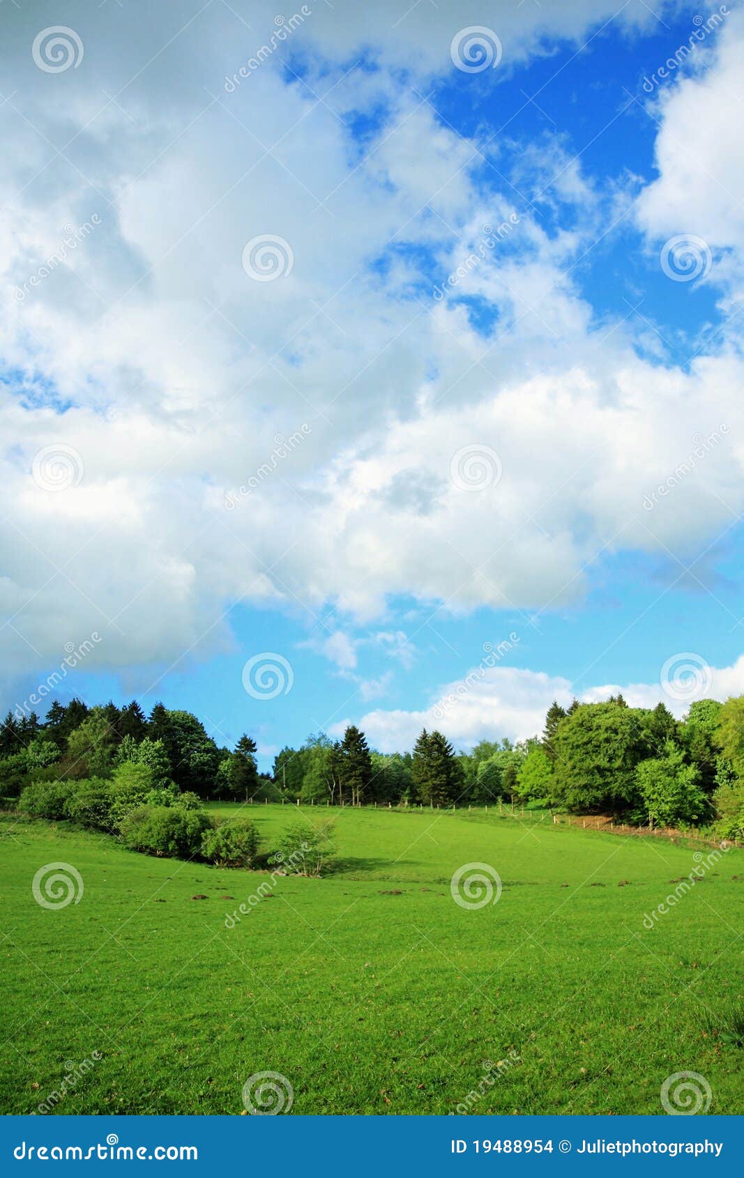 Beautiful Spring Rural Landscape Stock Photo - Image of horizon ...