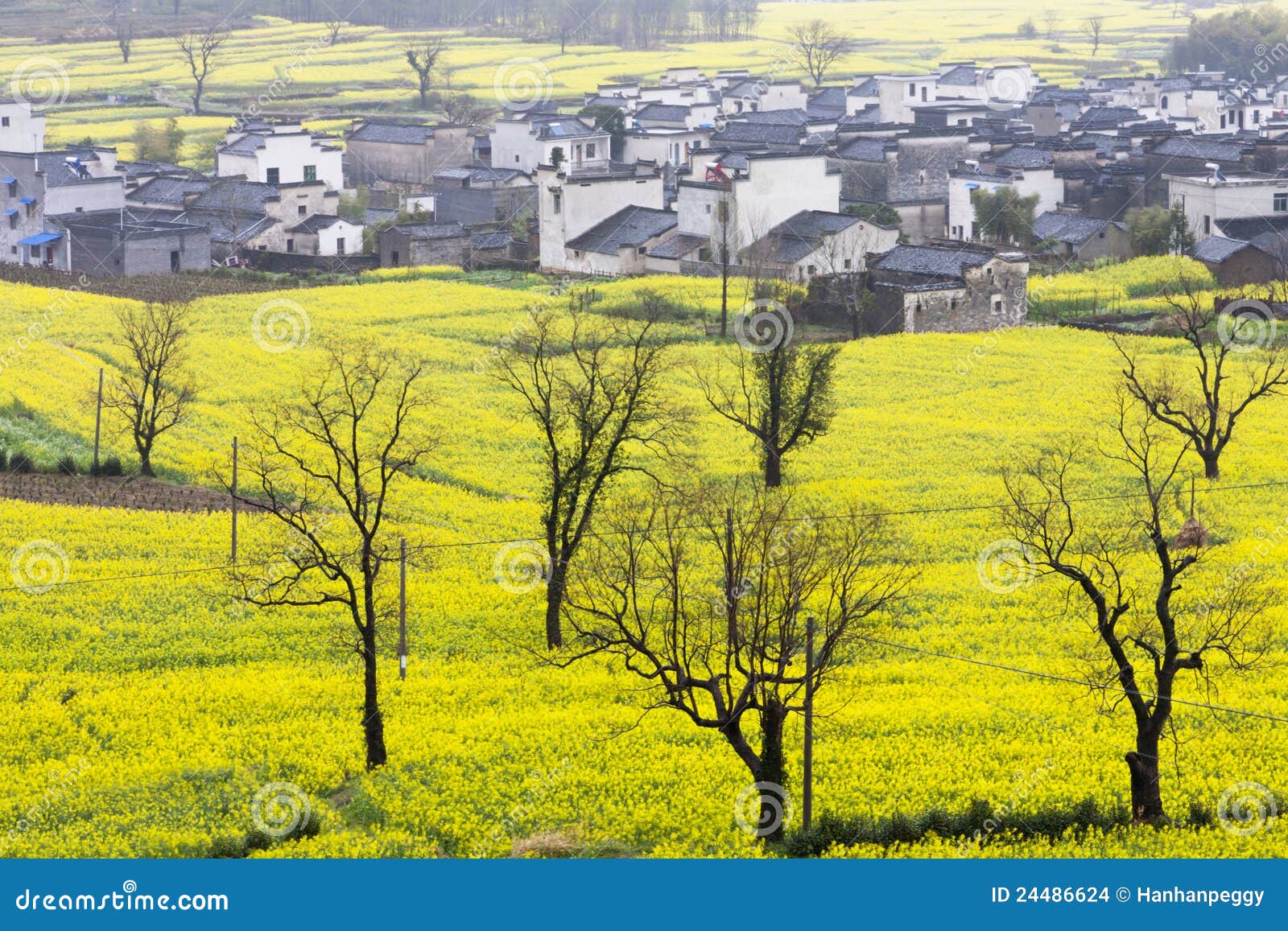 Beautiful Spring Rural Landscape Stock Photo - Image of landscape ...