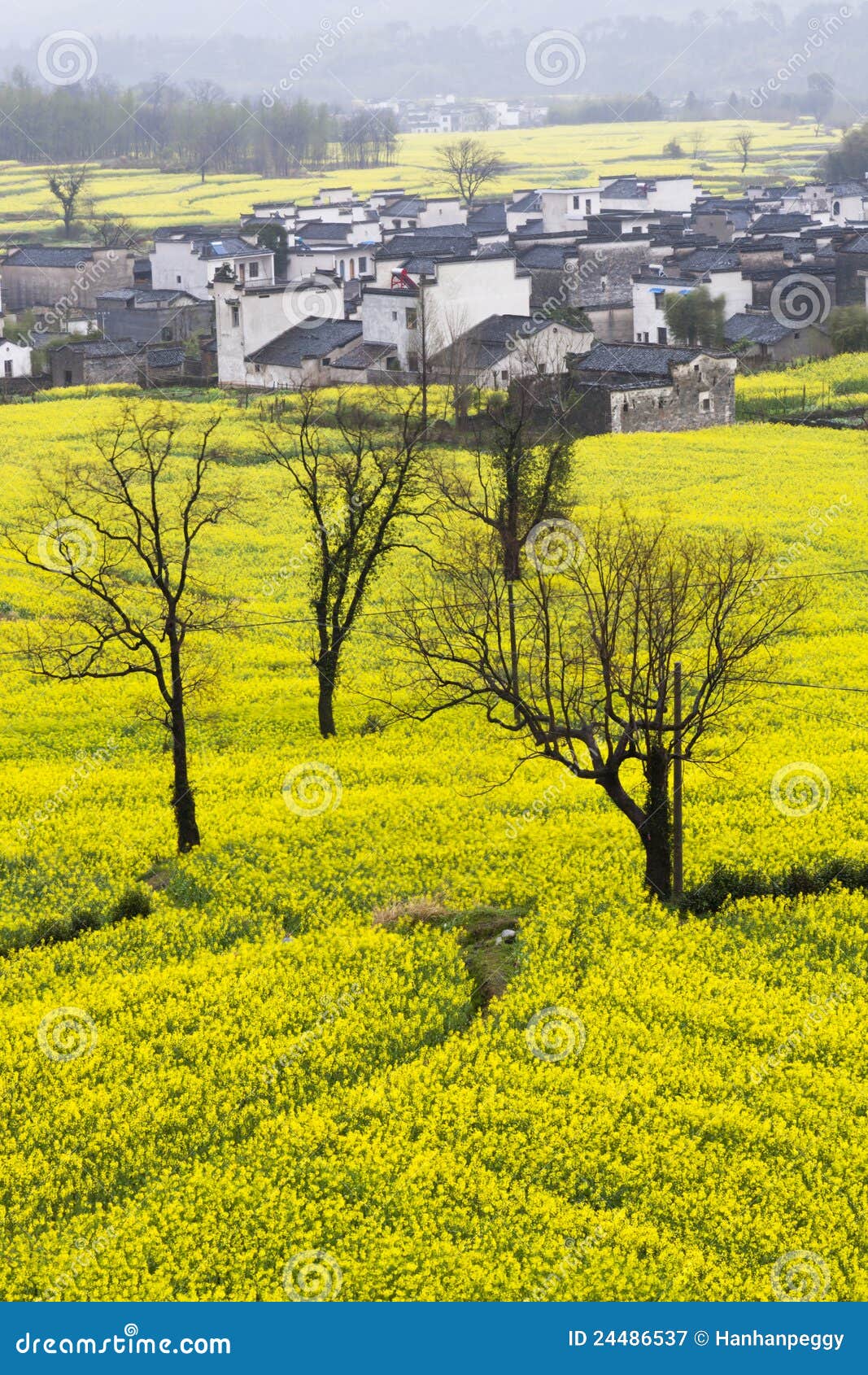Beautiful Spring Rural Landscape in China Stock Image - Image of ...