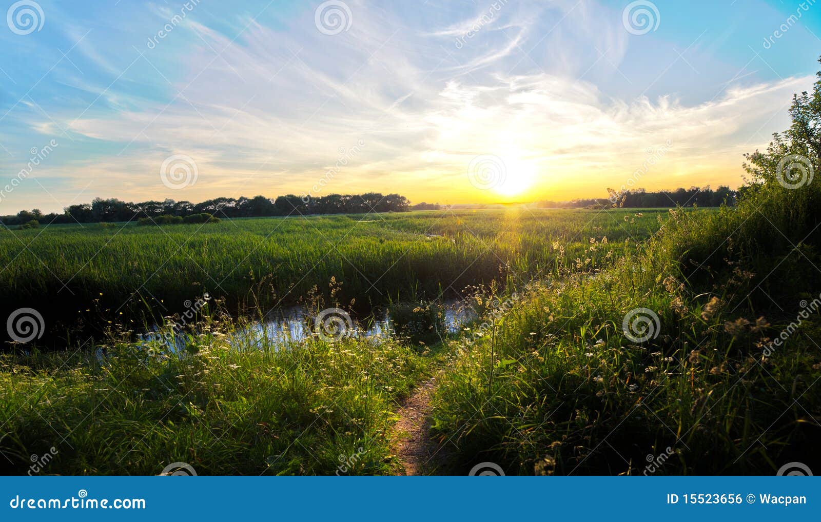Beautiful Spring Sunset stock photo. Image of sunbeam - 15523656