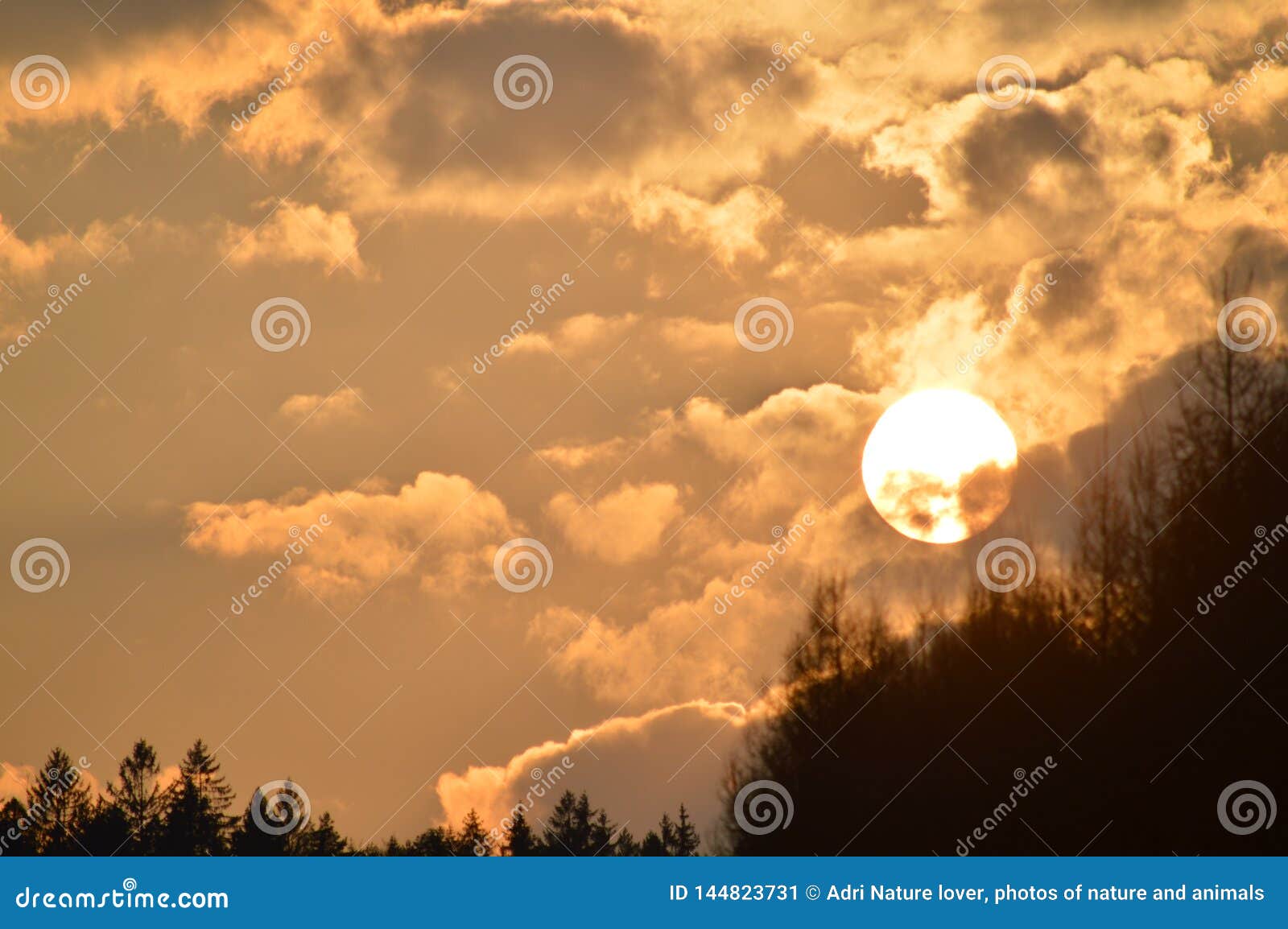 Beautiful Spring Sunset upon Forest Stock Image - Image of nature ...