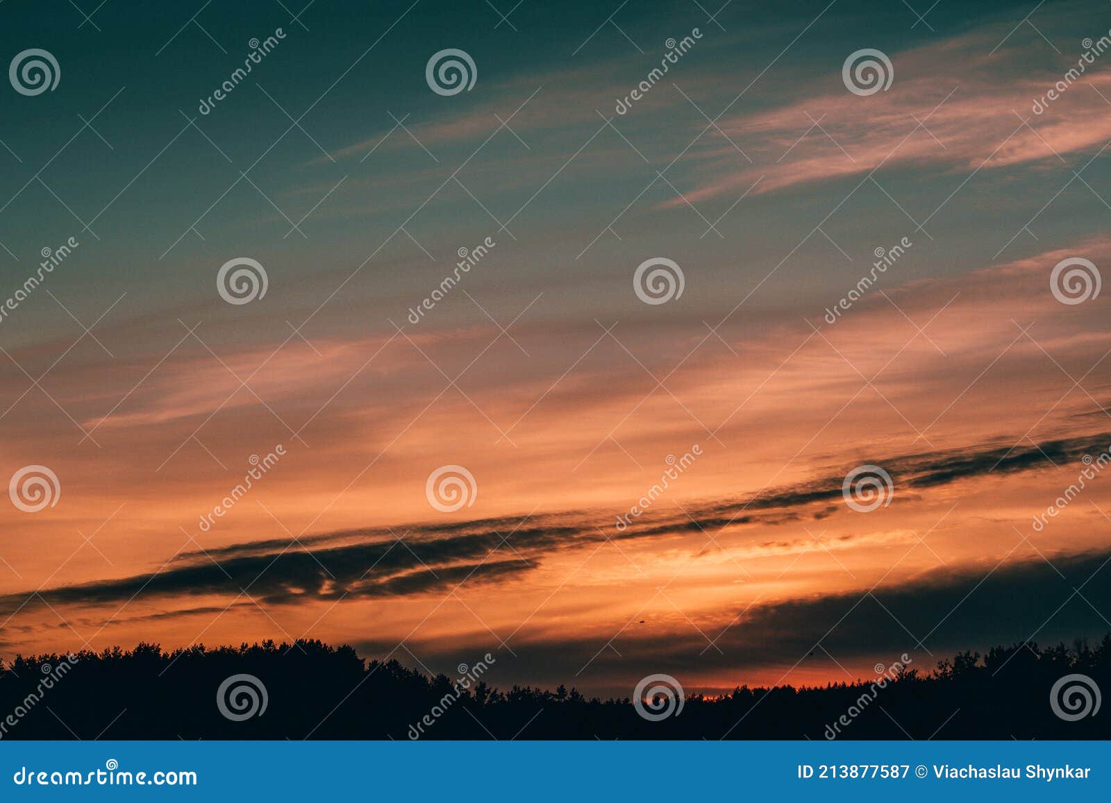 Beautiful Spring Sunset Over the Forest Stock Image - Image of ...