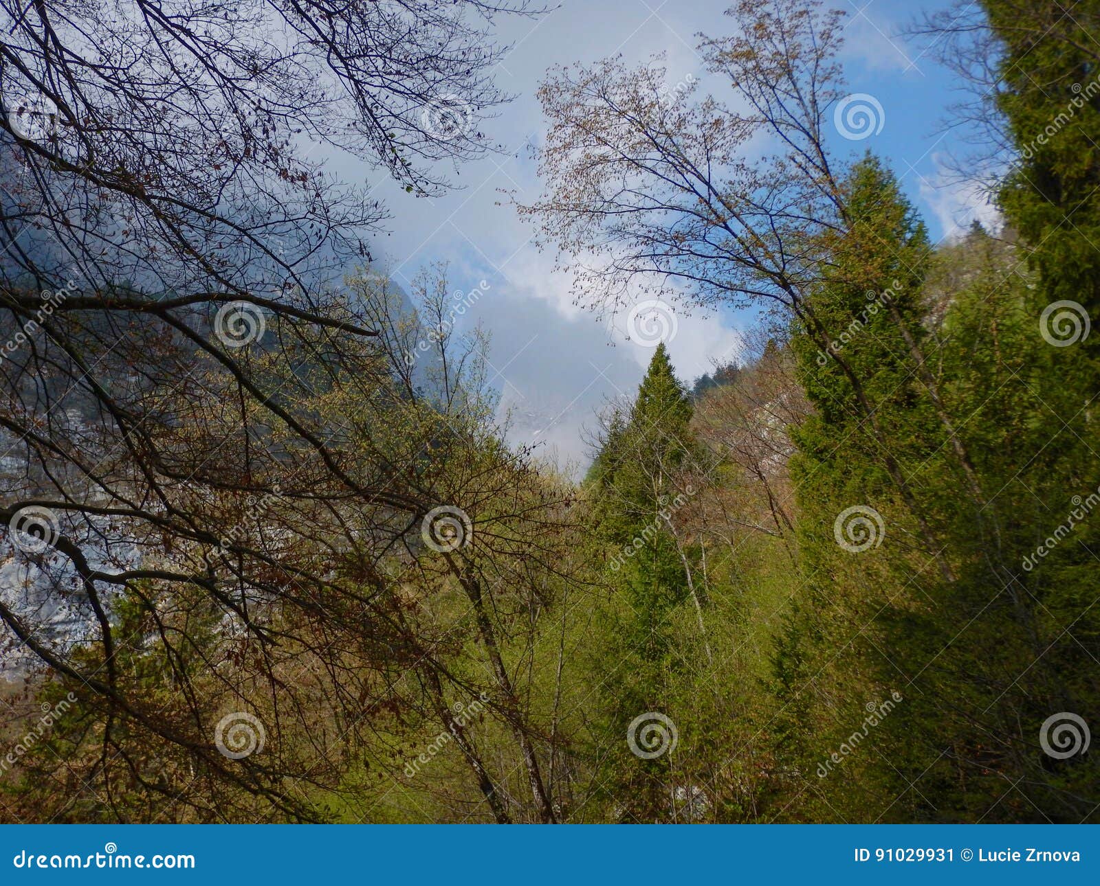 Beautiful Spring Time in Dolomiti Mountails Stock Image - Image of ...