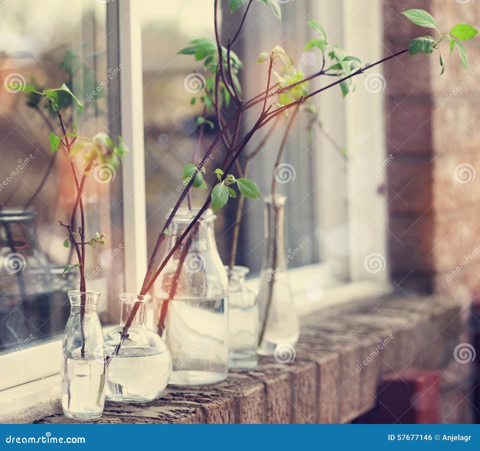 Beautiful Spring Tree Branches in Glass Bottles on Window. Home Stock ...