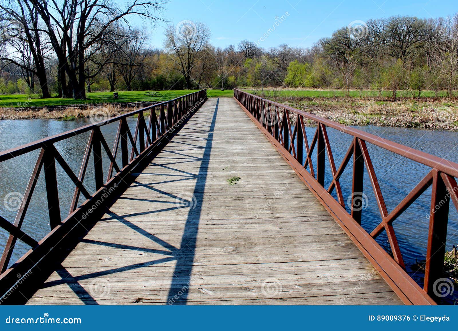 Beautiful Spring View in the Wild Park of Nature. Stock Photo - Image ...