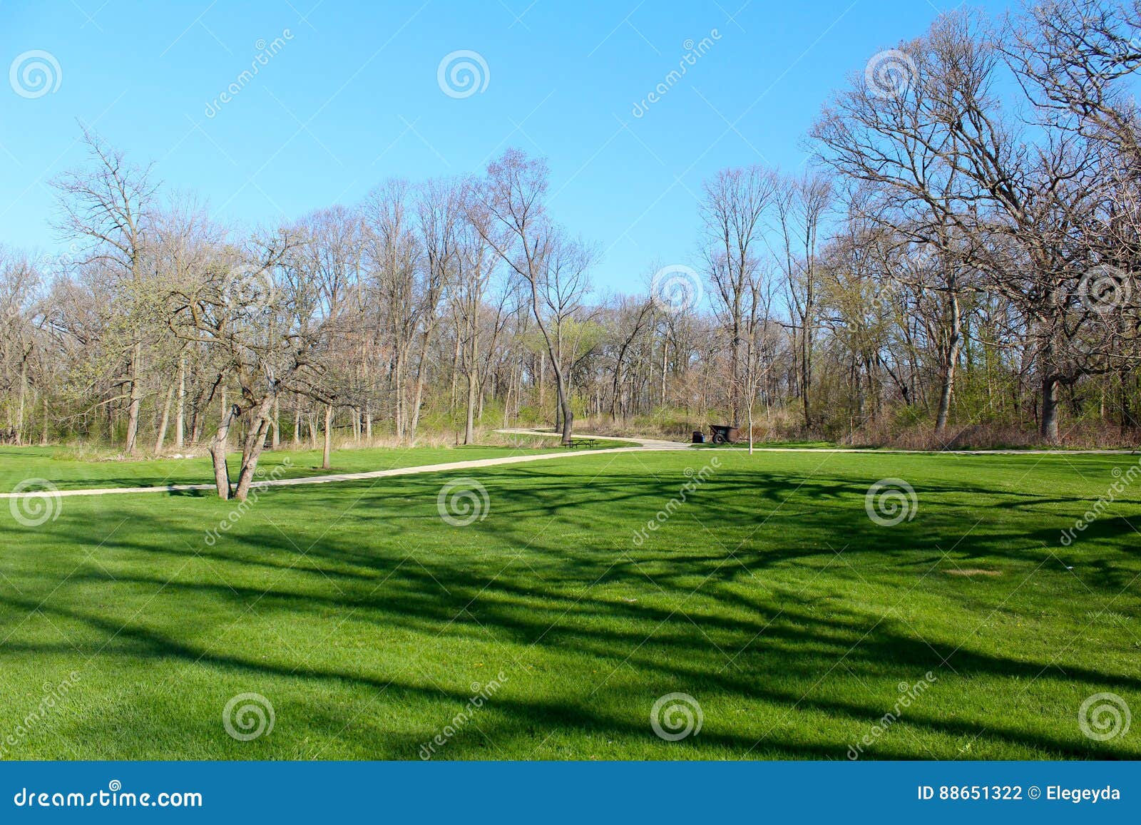 Beautiful Spring View in the Wild Park of Nature. Spring Landscape ...