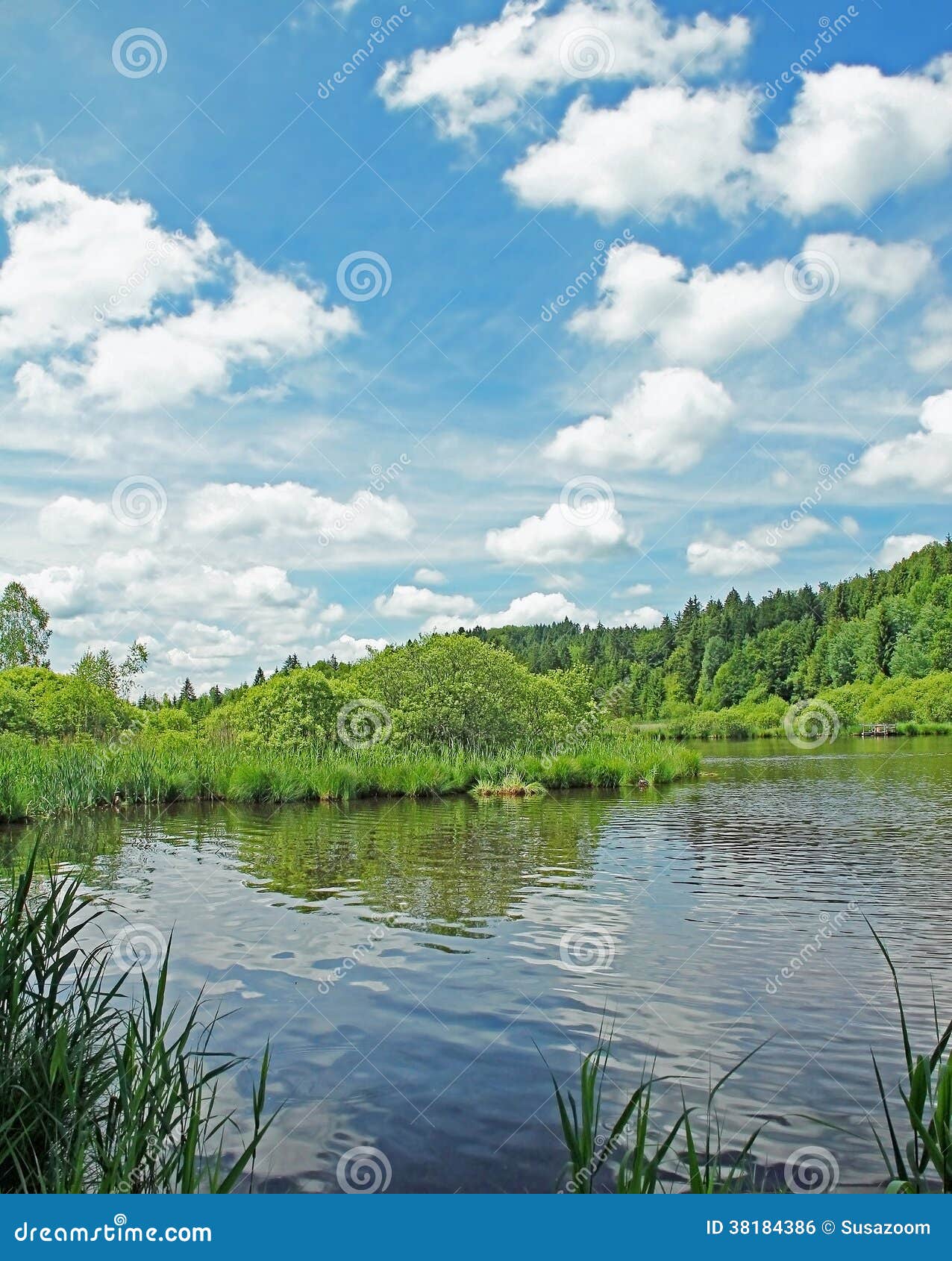 Beautiful Springlike Marshland and Pond, German Landscape Stock Photo ...