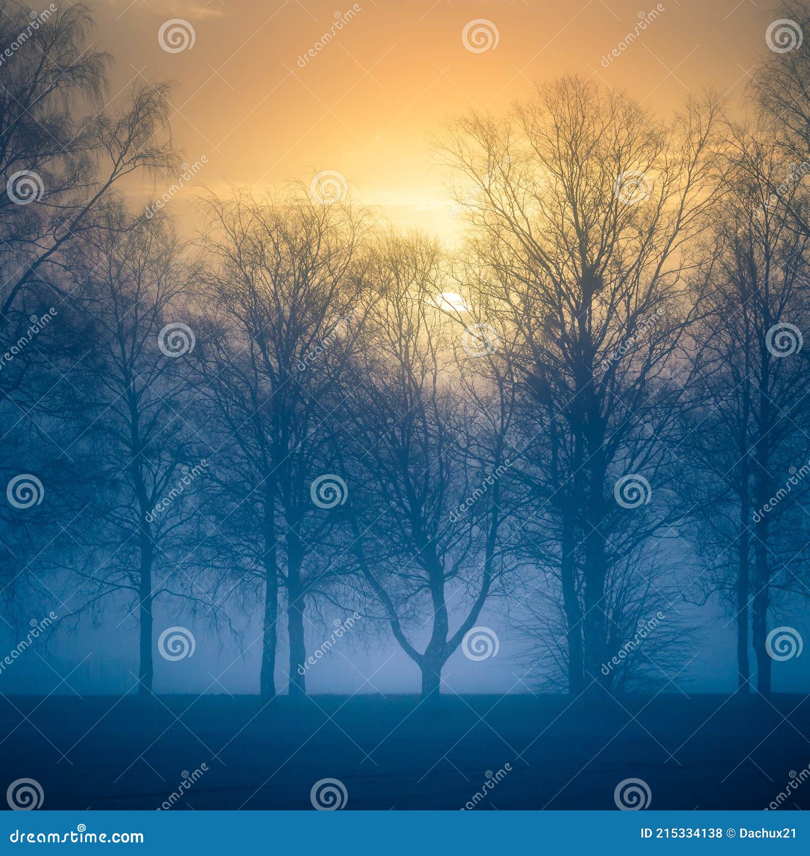 A Beautiful Springtime Dawn Landscape before the Sunrise. Soft ...