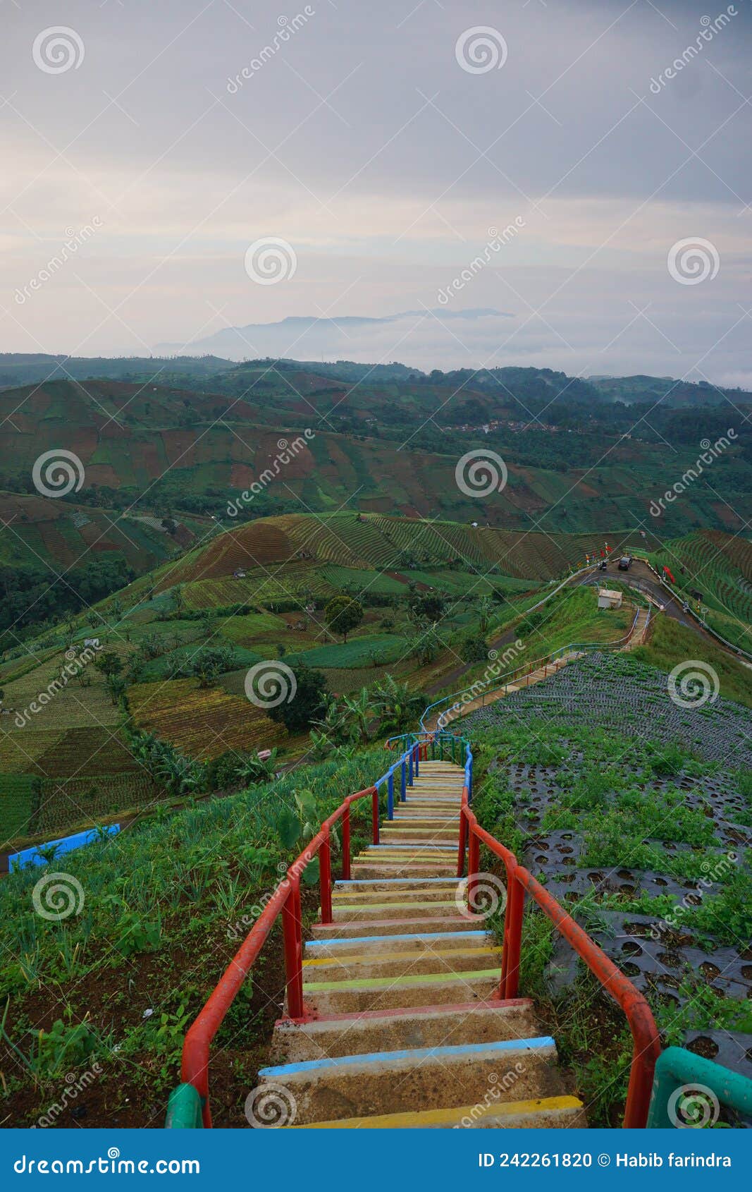 Beautiful Stairs in the Onion Plantation of Majalengka West Java. Stock ...