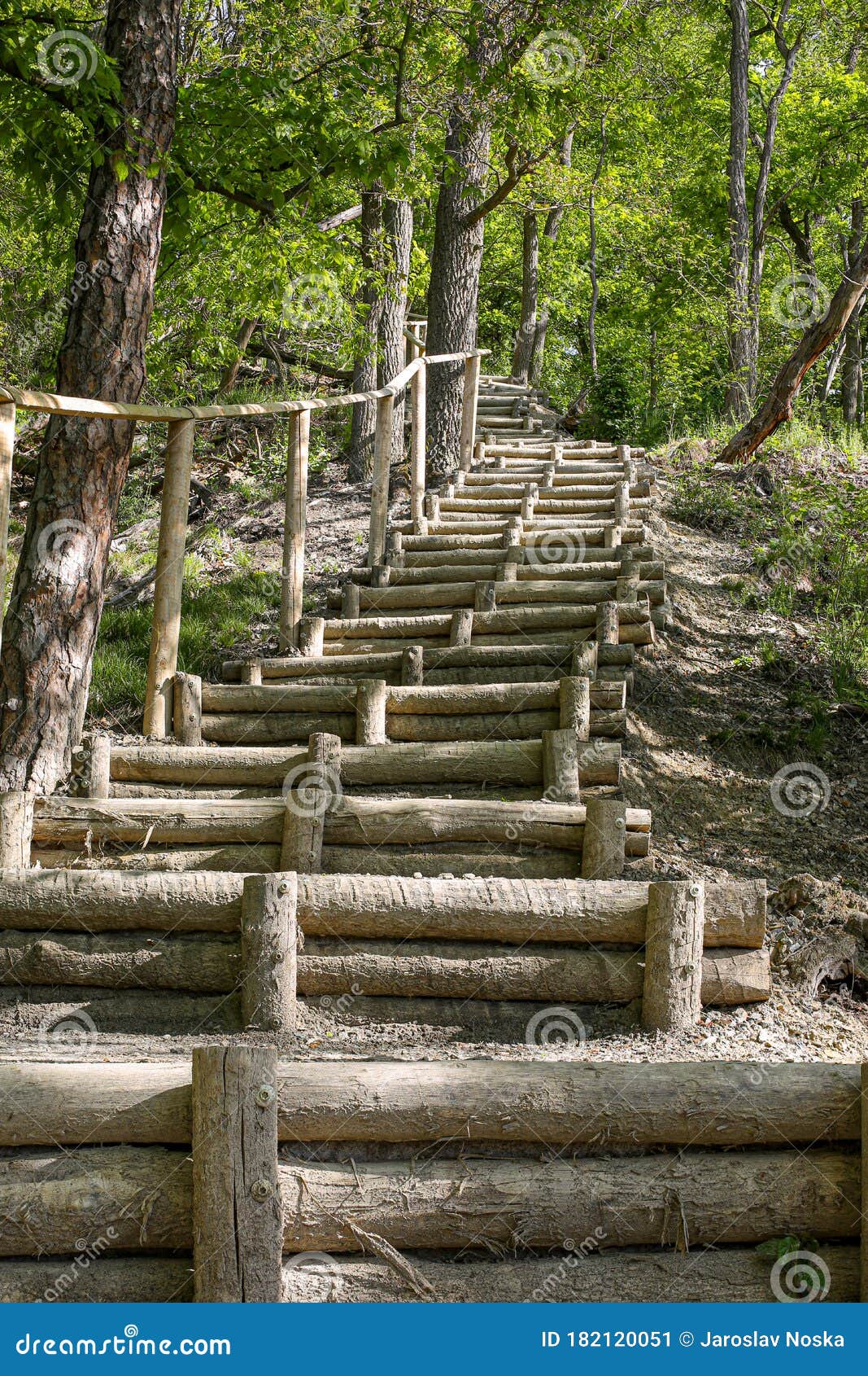 Beautiful Staircase In Nature