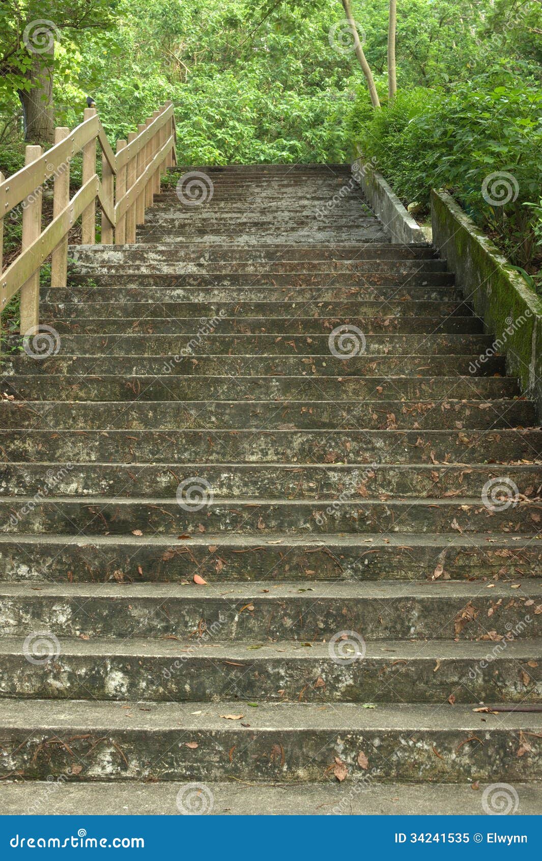 Beautiful Stairway in the Park Stock Image - Image of garden, steps ...