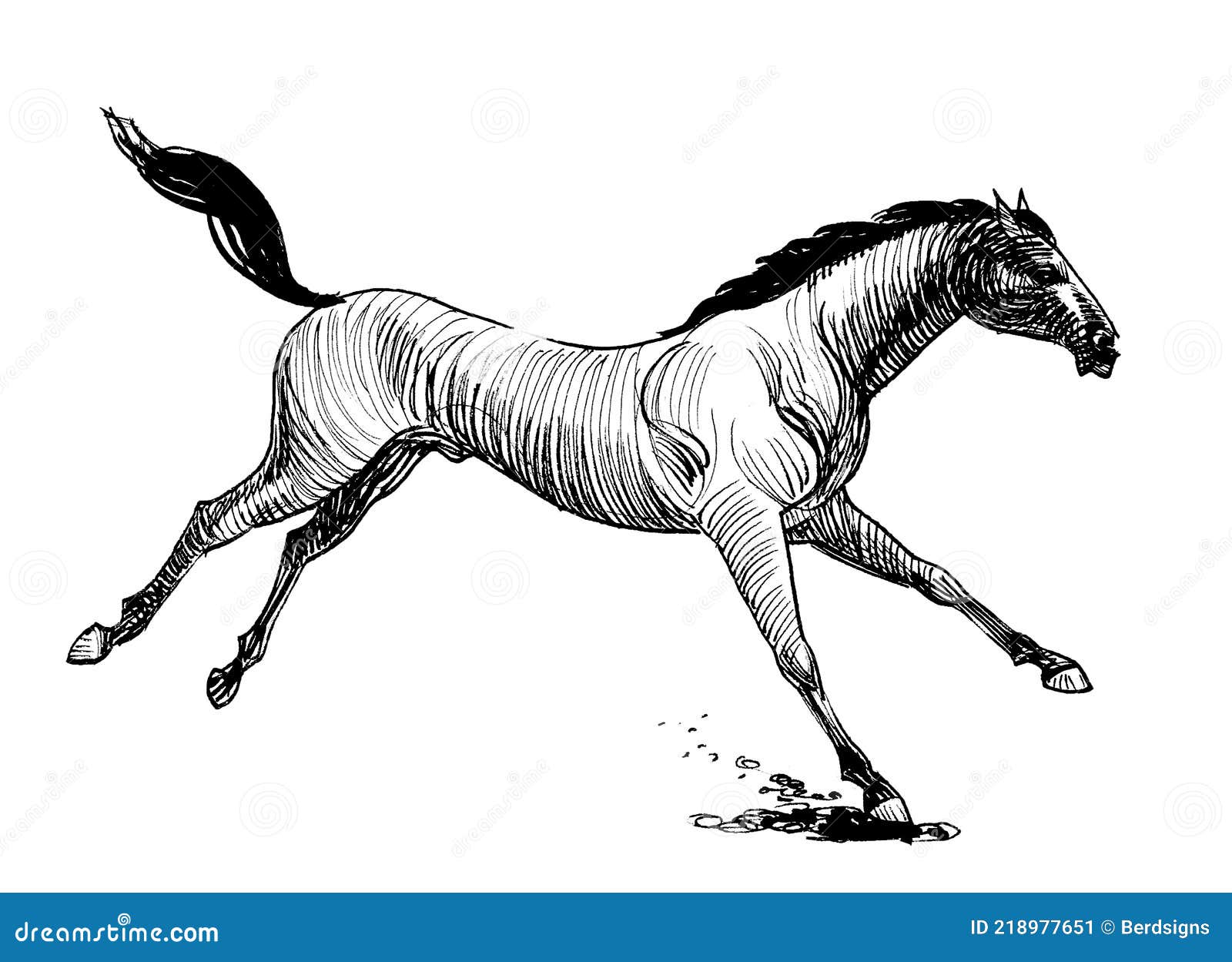 Beautiful standing horse stock illustration. Illustration of artwork ...