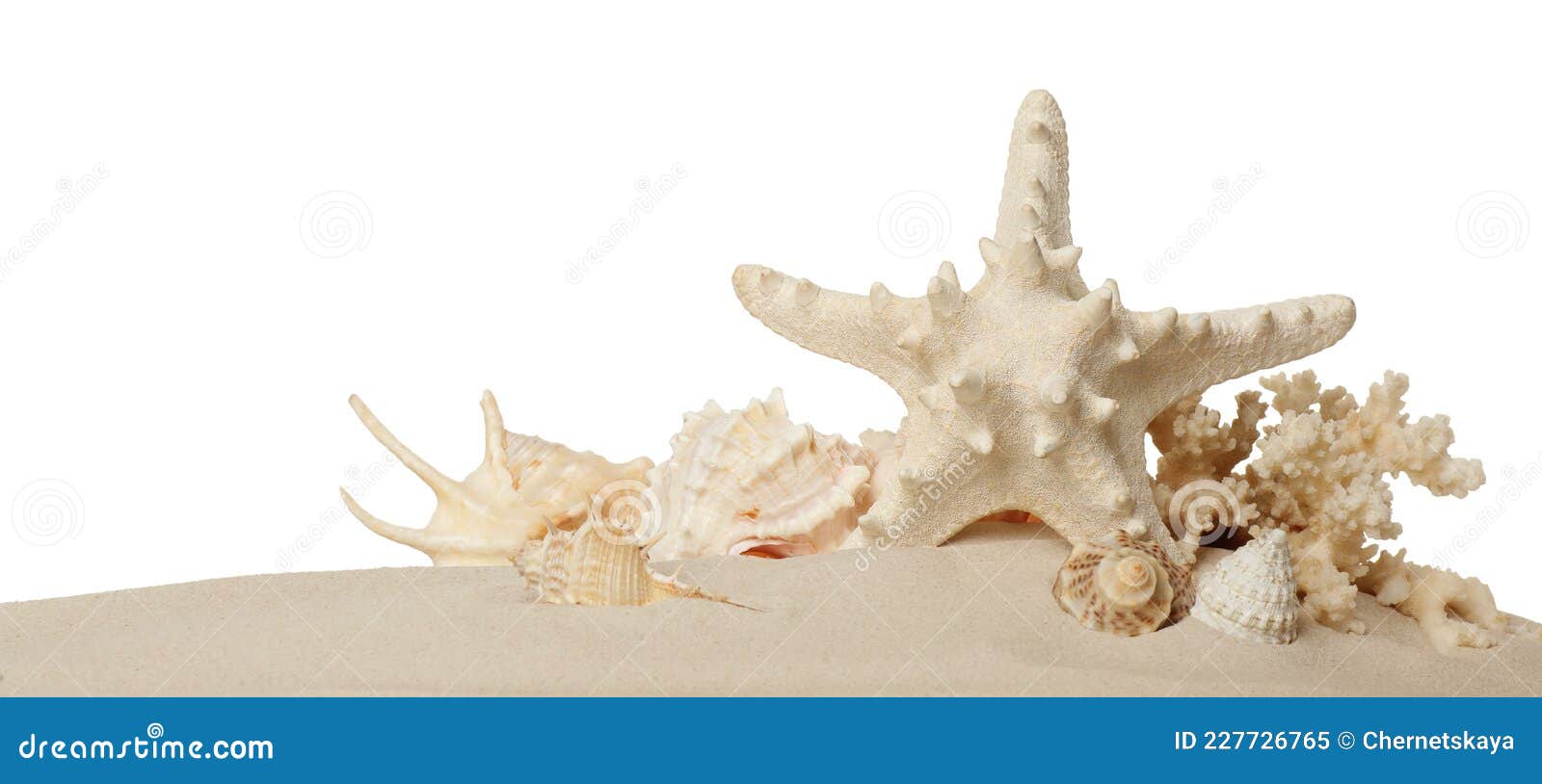Beautiful Starfish, Coral and Sea Shells in Sand on White Background ...