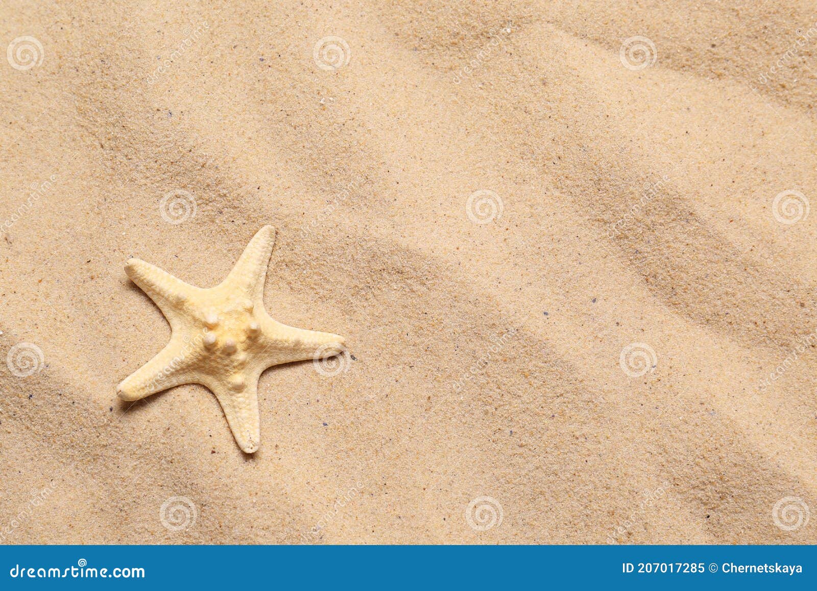 Beautiful Starfish and Space for Text on Beach Sand, Top View. Summer ...