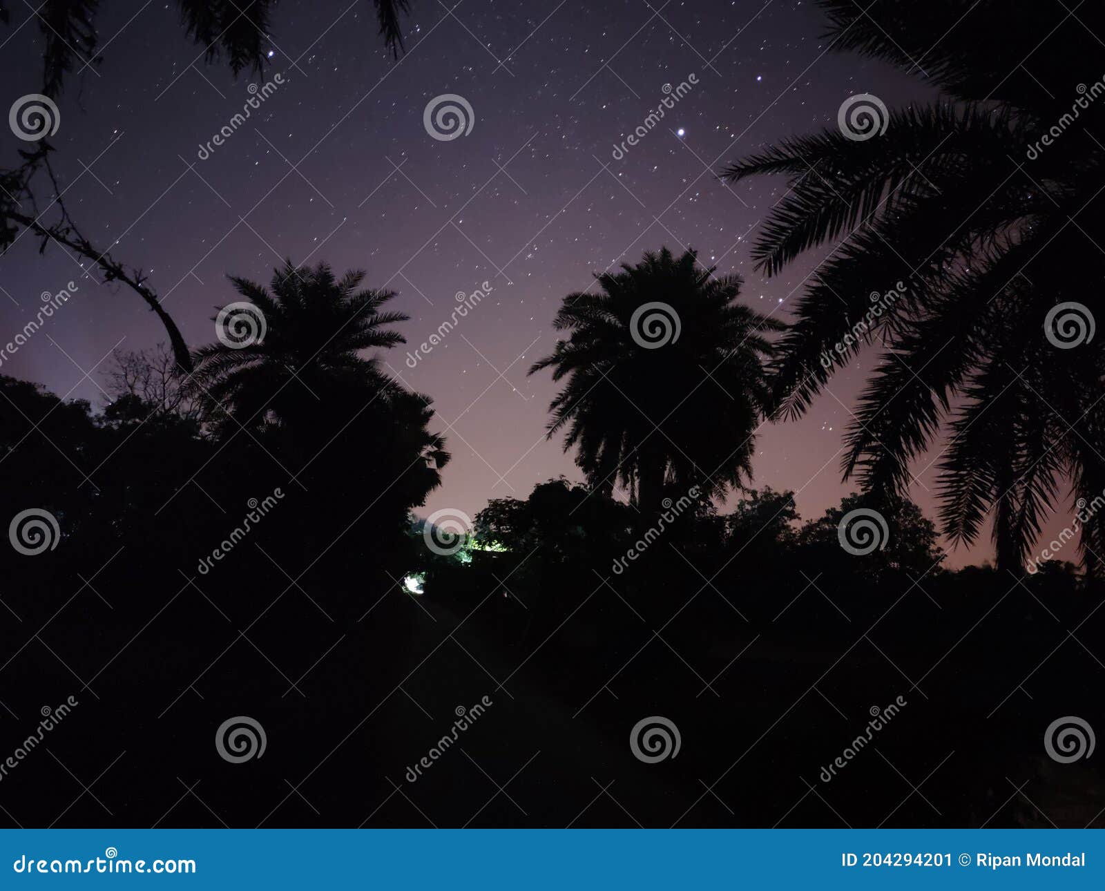 A beautiful starry night stock image. Image of night - 204294201