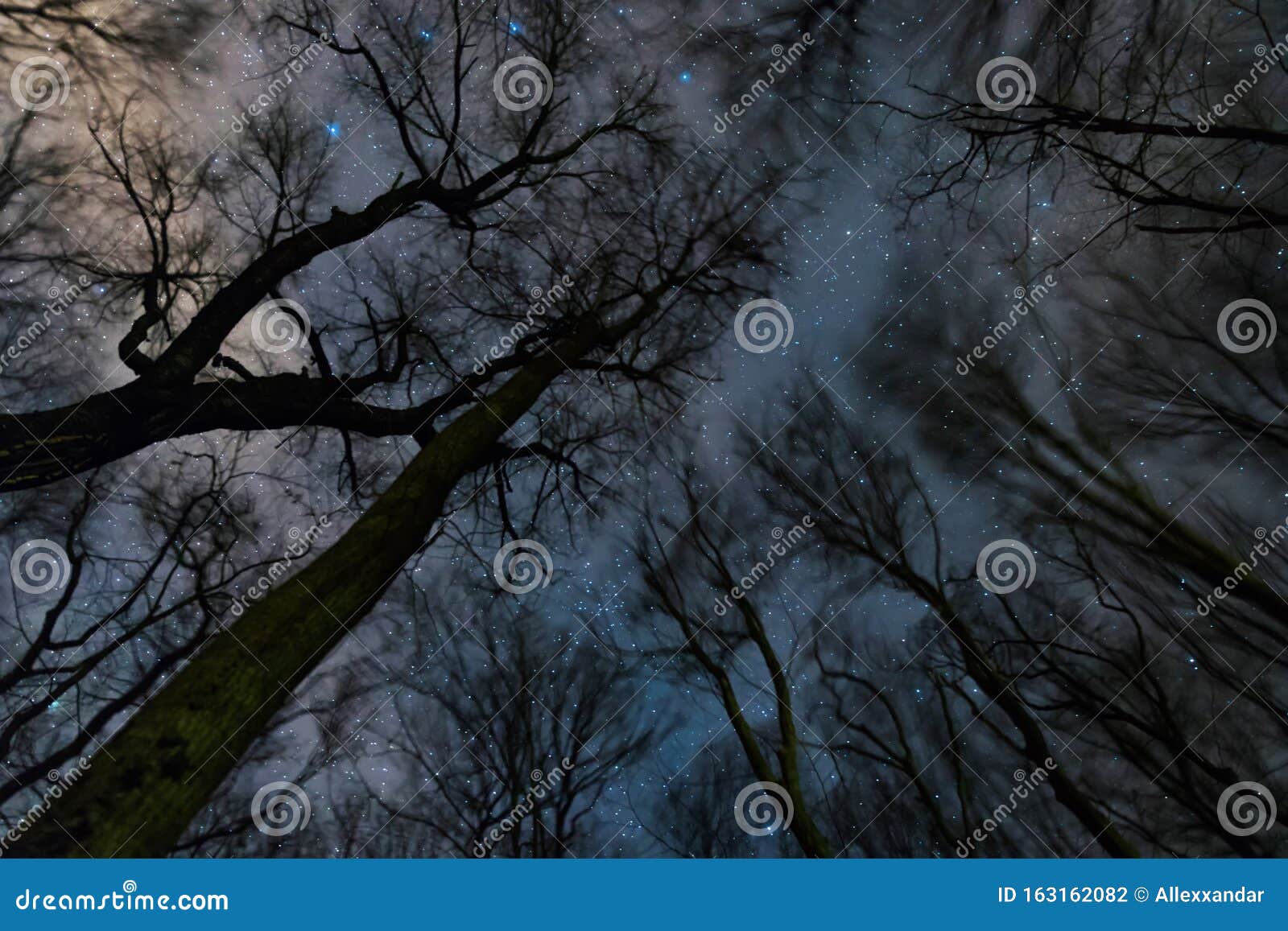 Beautiful Starry Night, the Milky Way and the Trees, Windy Night Moving ...