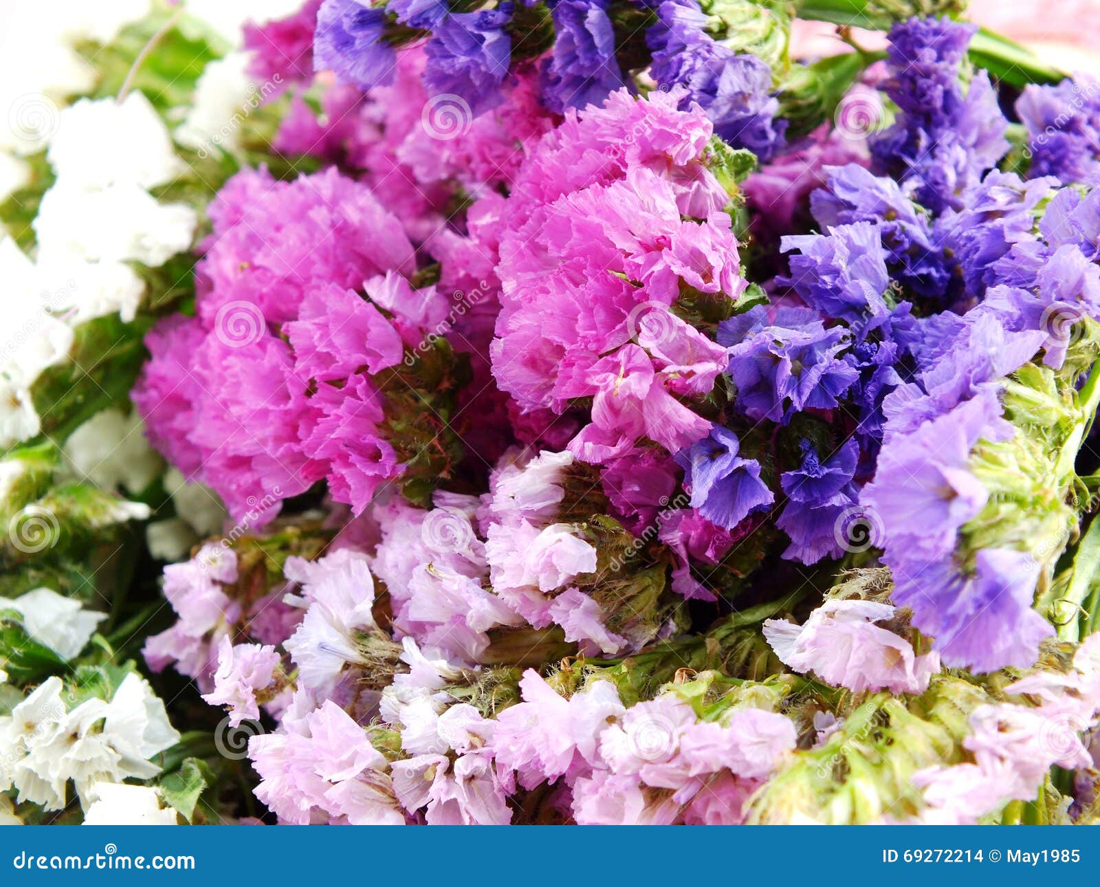 Beautiful Statice Flowers Bouquet Stock Photo - Image of flowers, brown ...