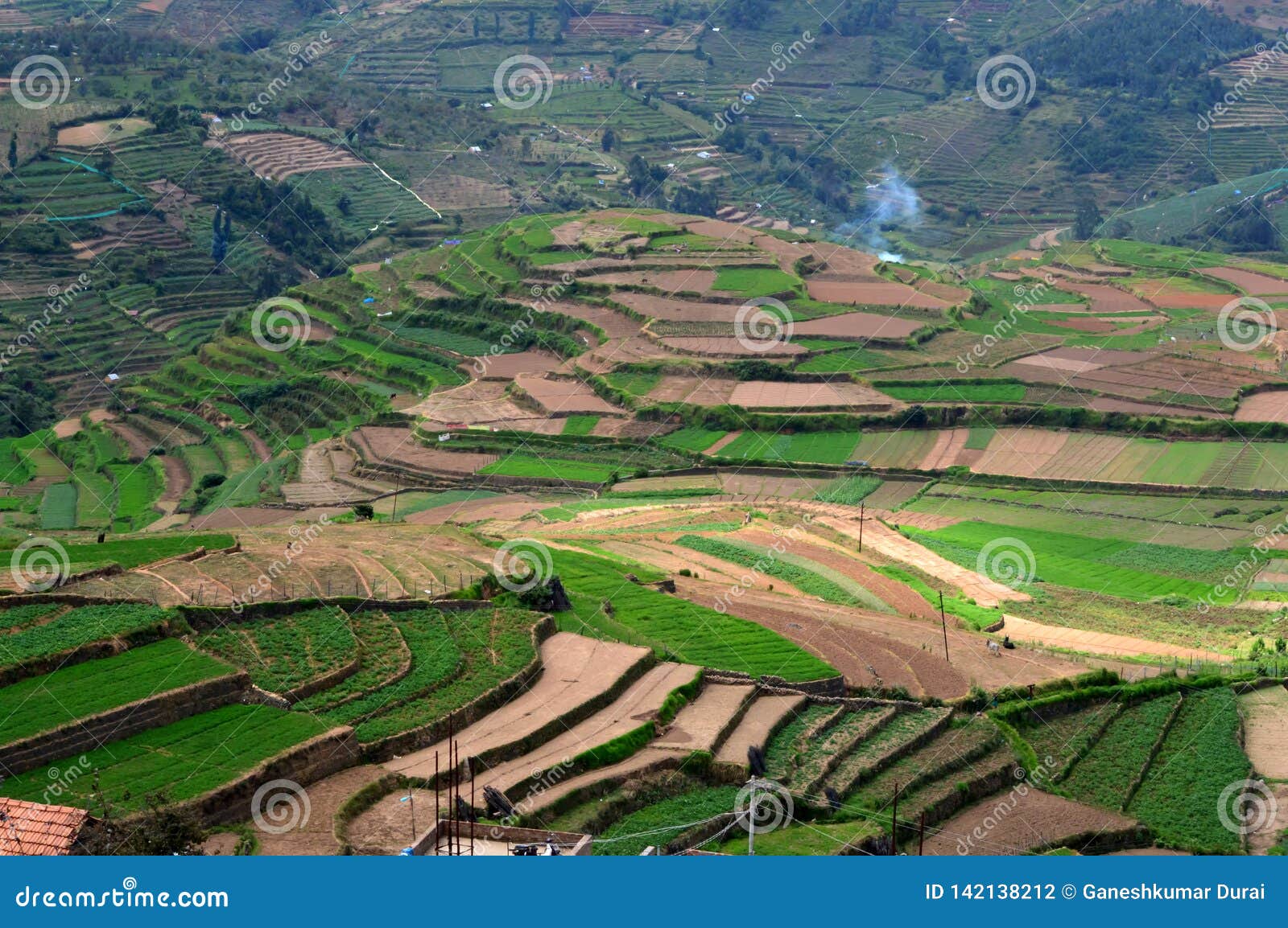 Beautiful Step Cultivation in Poombarai Stock Photo - Image of blue ...