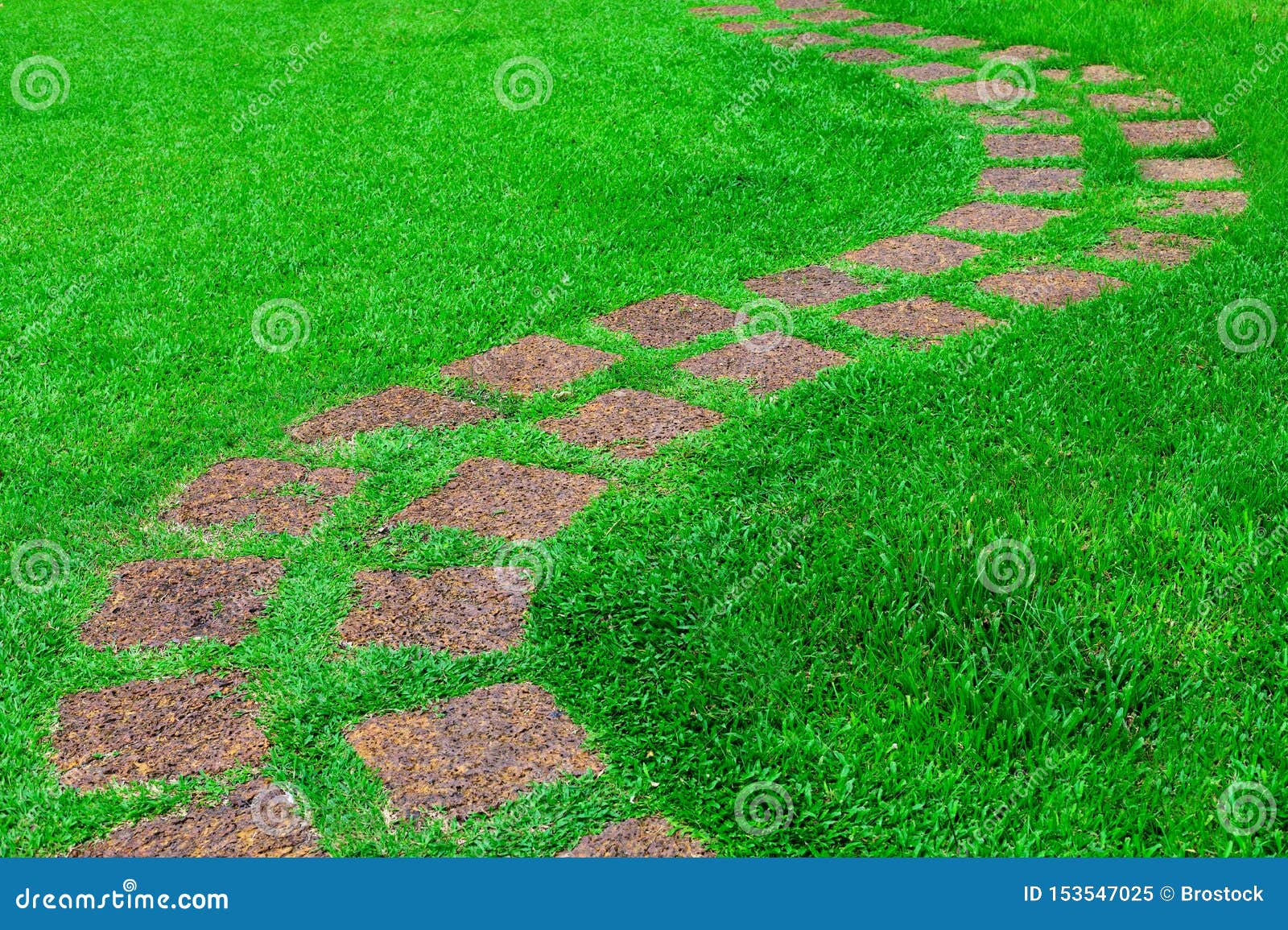 Beautiful Stepping Stone Path Through Green Grass Lawn Royalty-Free ...