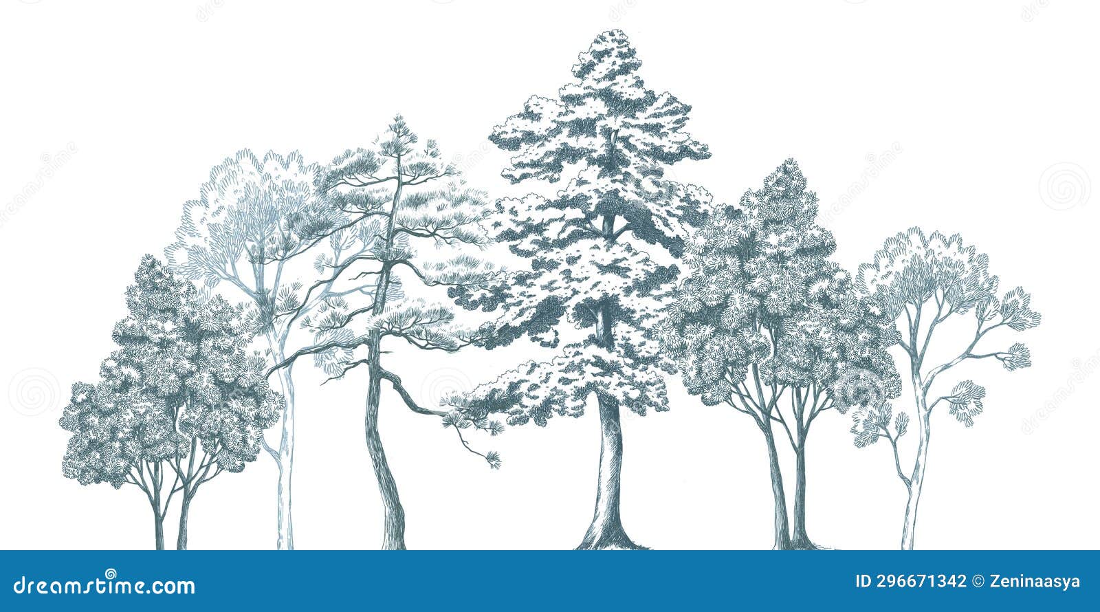 Beautiful Stock Illustration with Hand Drawn Forest Tree Composition ...