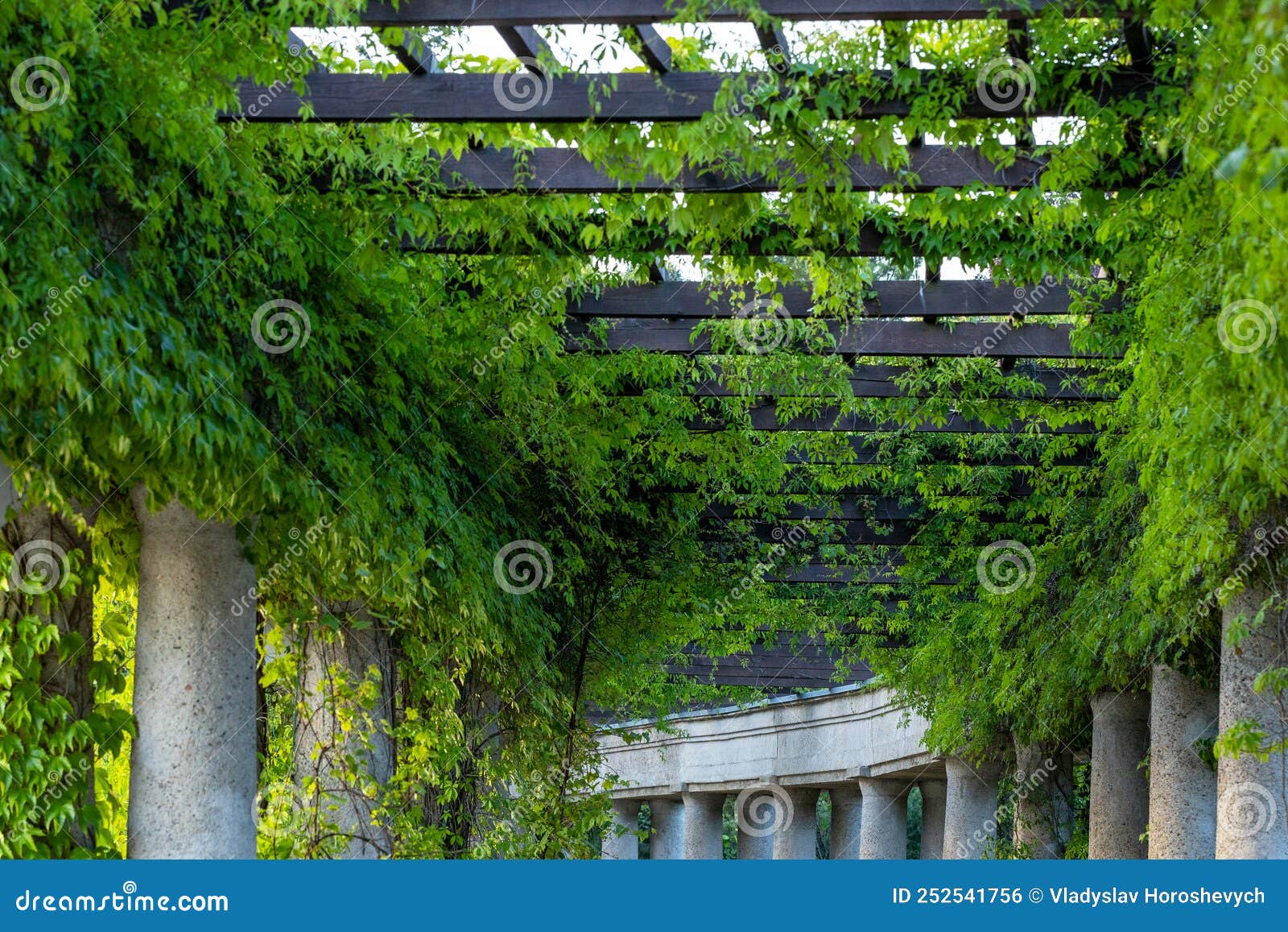 Beautiful Stone Arch with a Passage Inside, Overgrown with Ivy Stock ...
