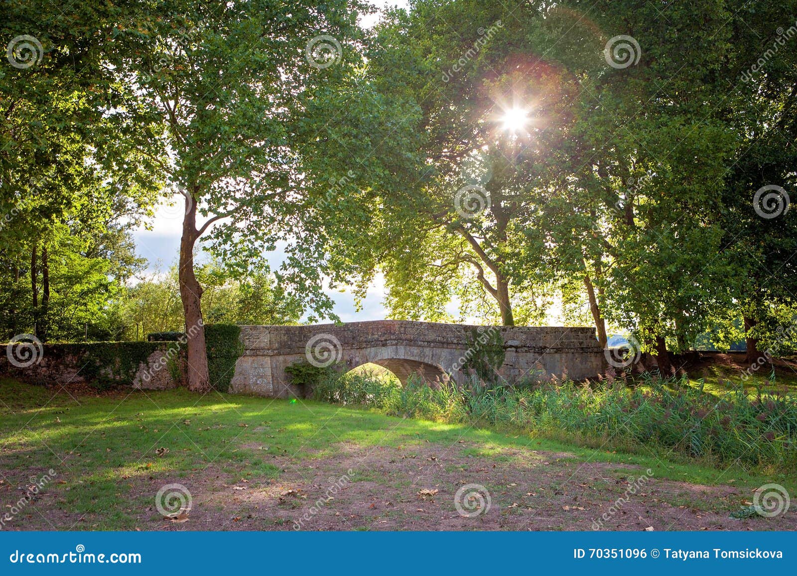 Beautiful Stone Bridge Over a Small Pond with Trees Behind on a Stock ...