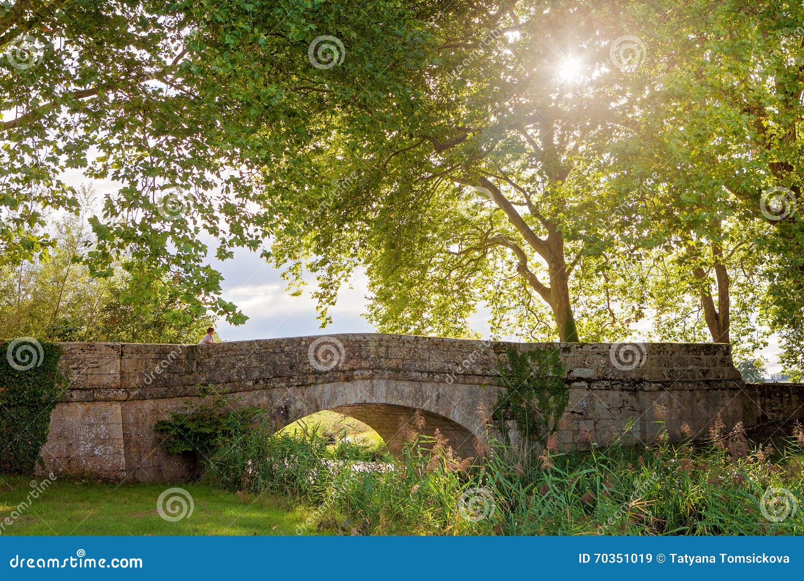 Beautiful Stone Bridge Over a Small Pond with Trees Behind on a Stock ...
