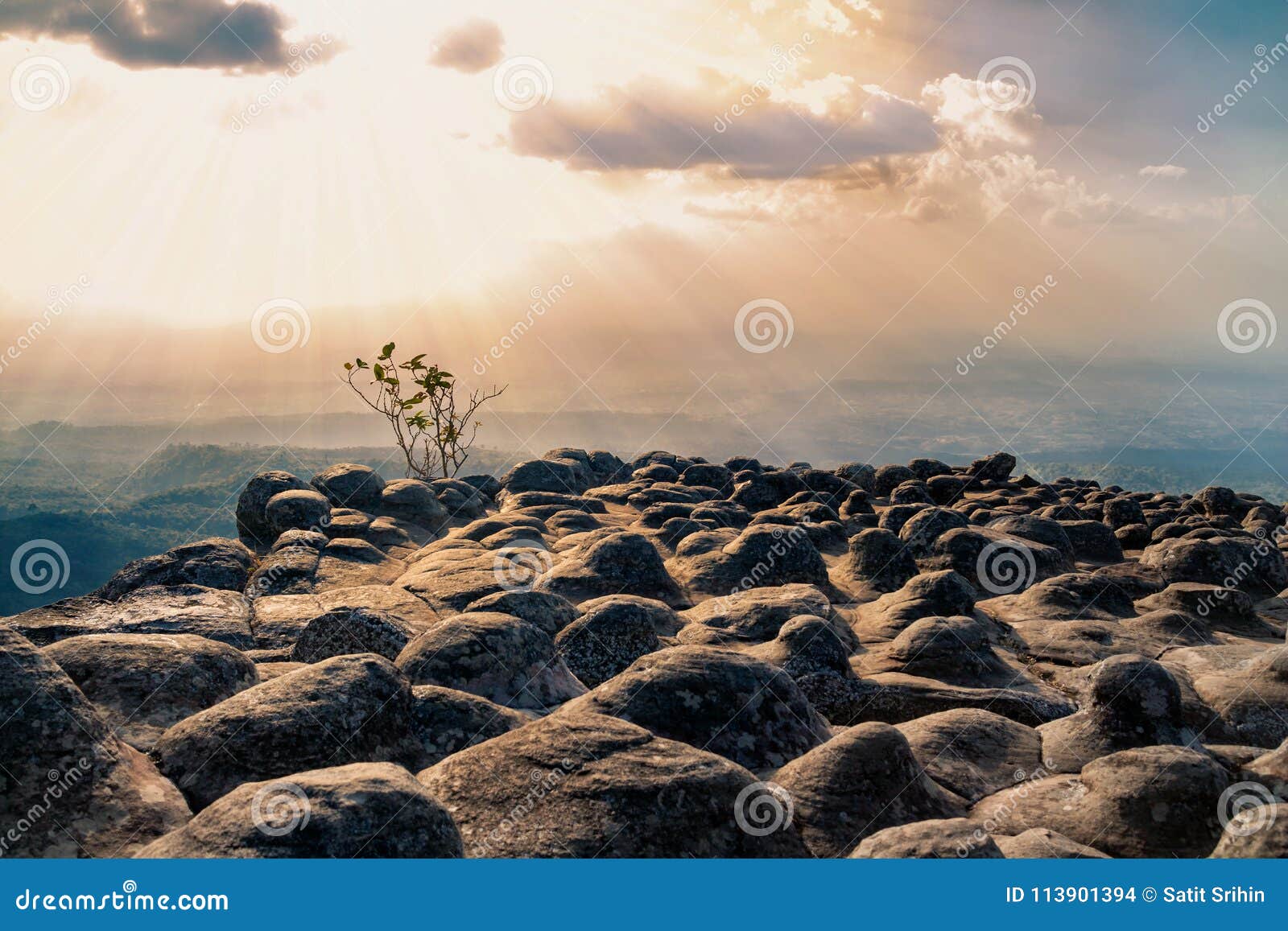Beautiful Stone Cliff at Sunset with Forest and Mountain Background ...