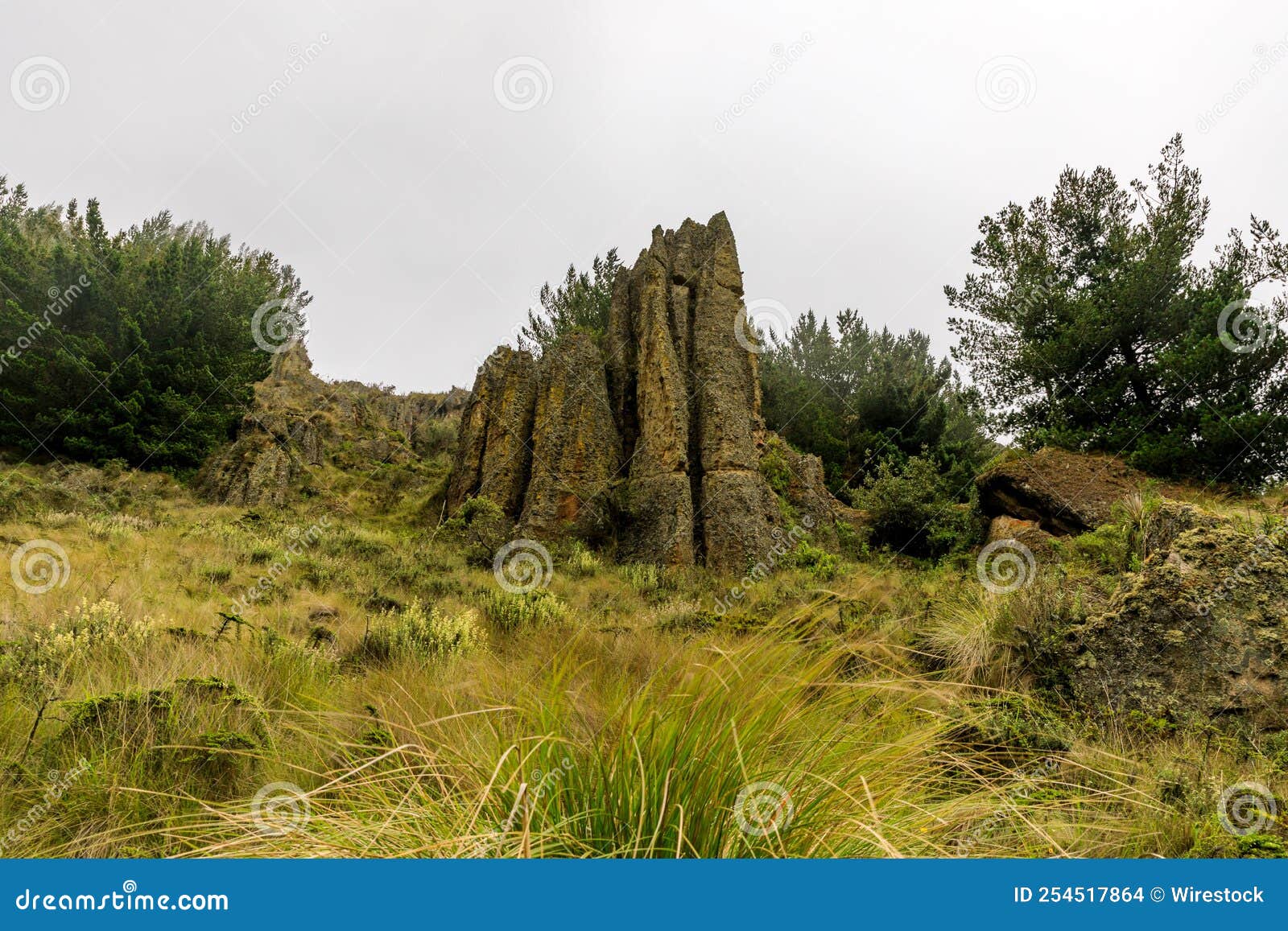 Beautiful Stone Forest Cumbemayo in Cajamarca, Peru on a Cloudy Day ...