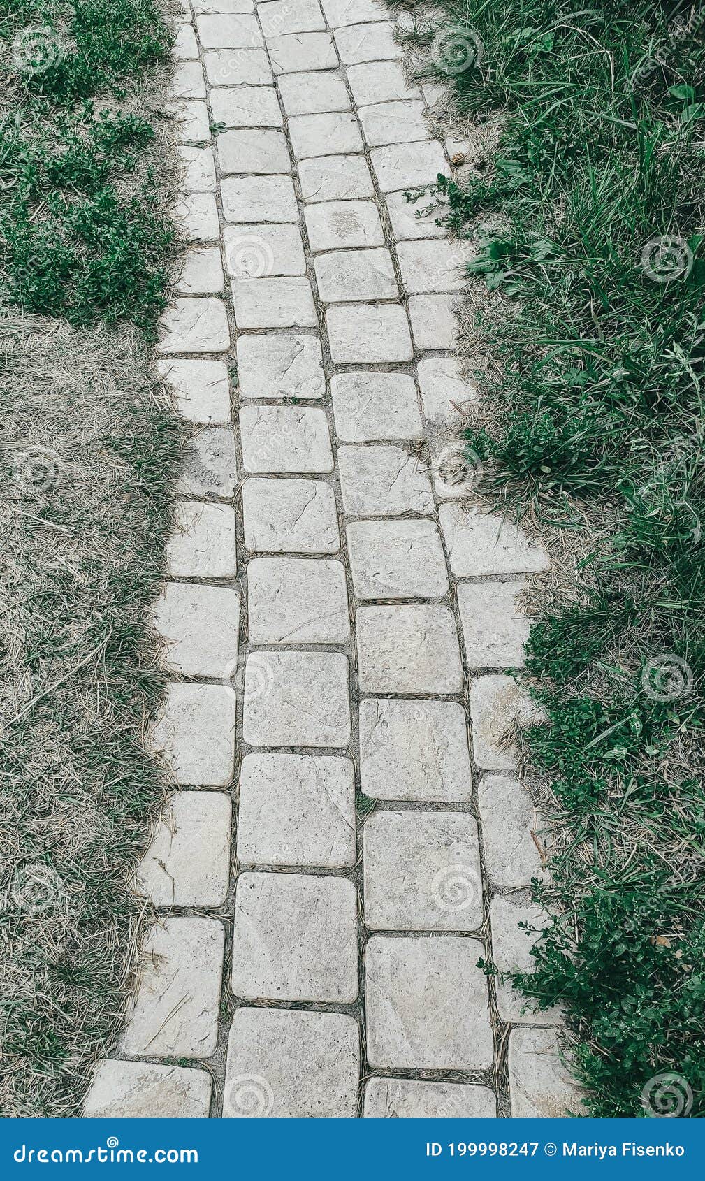 Beautiful Stone Path Leading into the Distance Stock Image - Image of ...