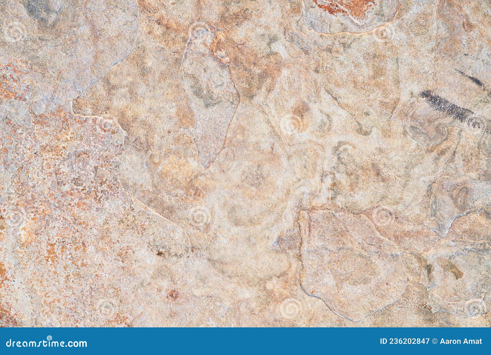 Beautiful Stone Texture Image Stock Image - Image of rock, ancient ...