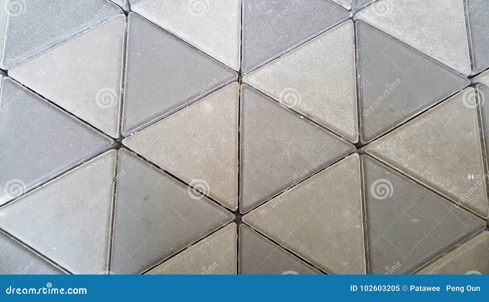 Triangle Stone Path stock image. Image of aquatic, flower - 102603205
