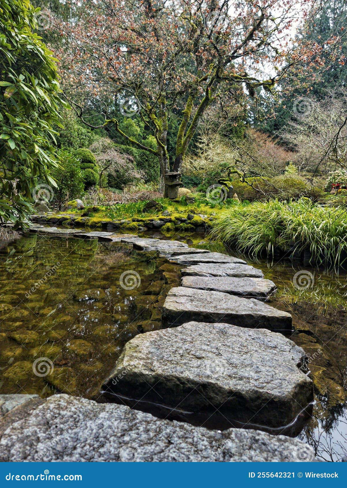 Beautiful Stone Walkway in a Park Stock Image - Image of architecture ...