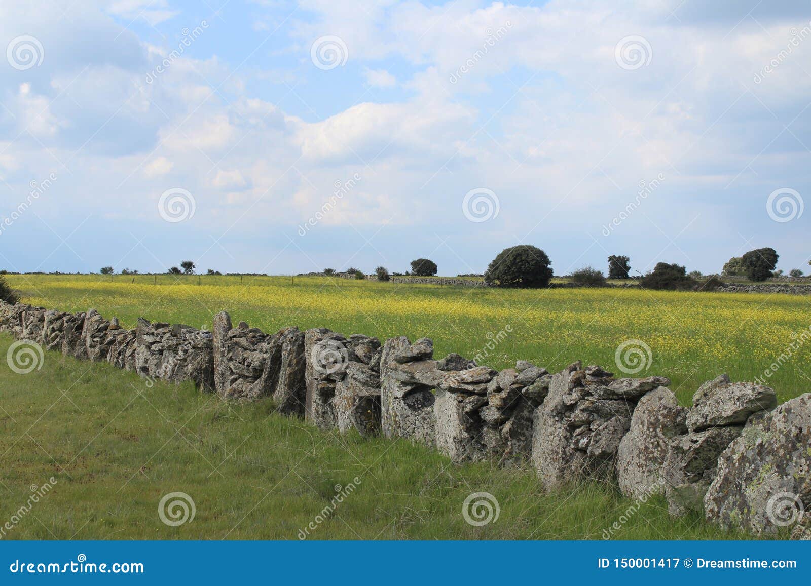 Beautiful Stone Wall that Separates the Fields and Animals Stock Image ...