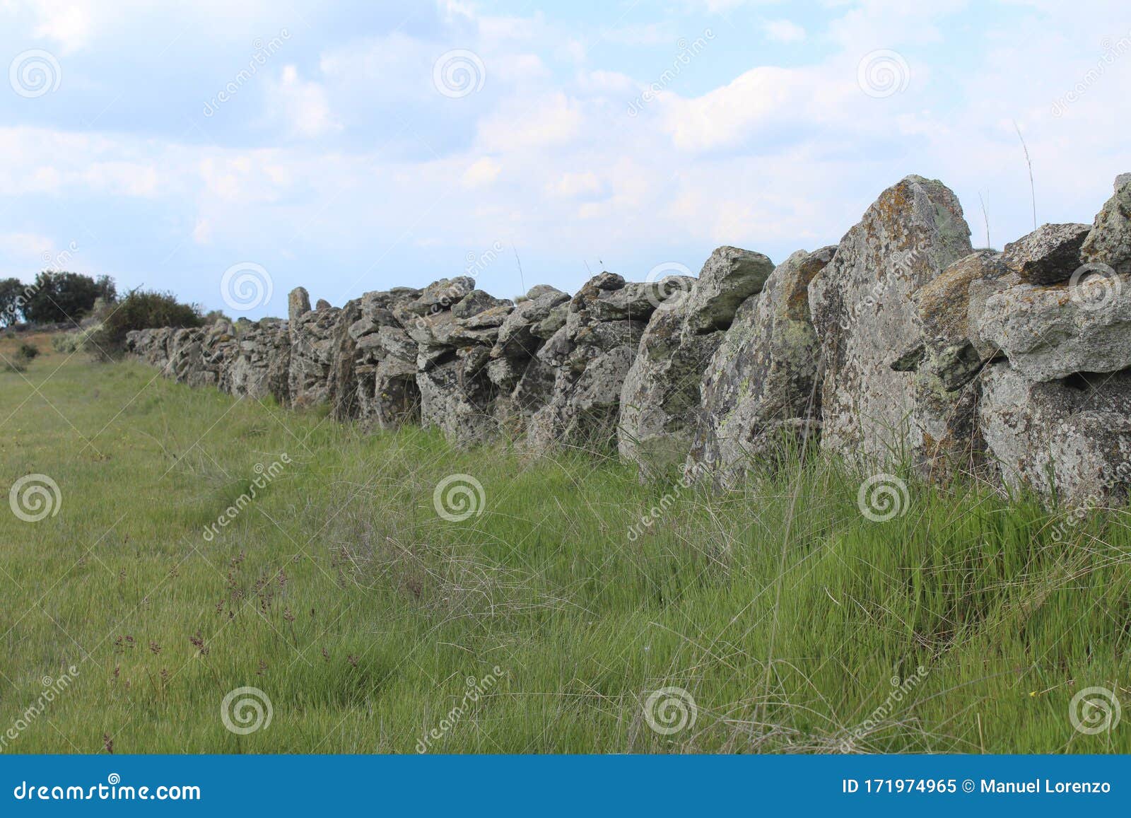 Beautiful Stone Wall that Separates the Fields and Animals Stock Image ...