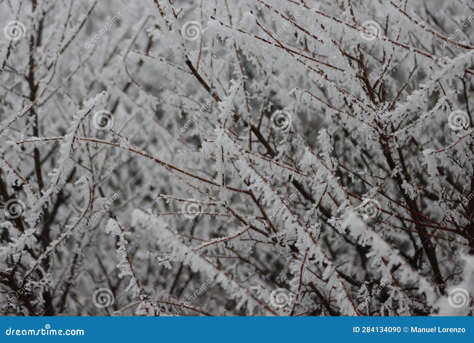 Beautiful Storm of Cold and Snow Frost Ice Under Zero Ice Stock Photo ...