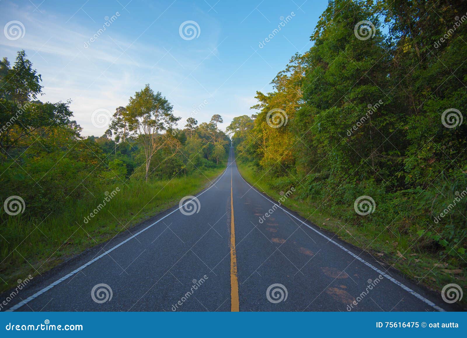 Beautiful Straight Empty Road through Forest, Background Stock Image ...