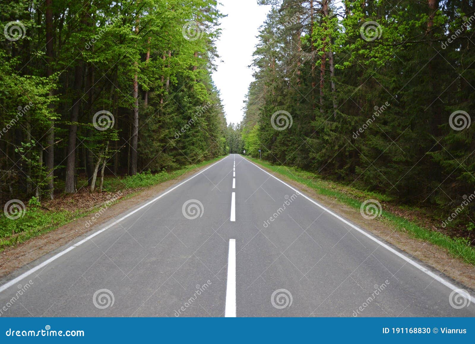 Beautiful straight road stock photo. Image of travel - 191168830